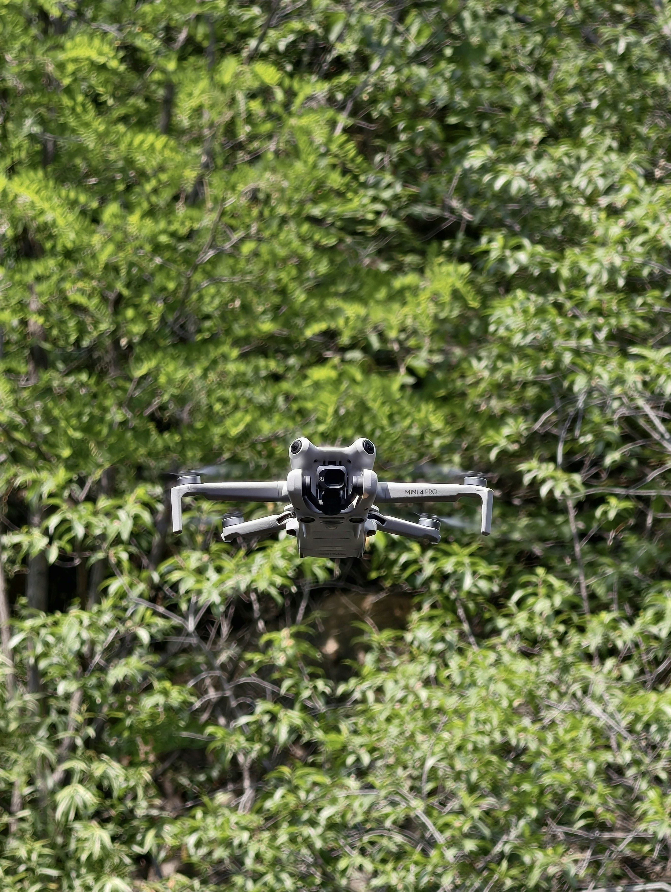A drone is flying in front of the trees.