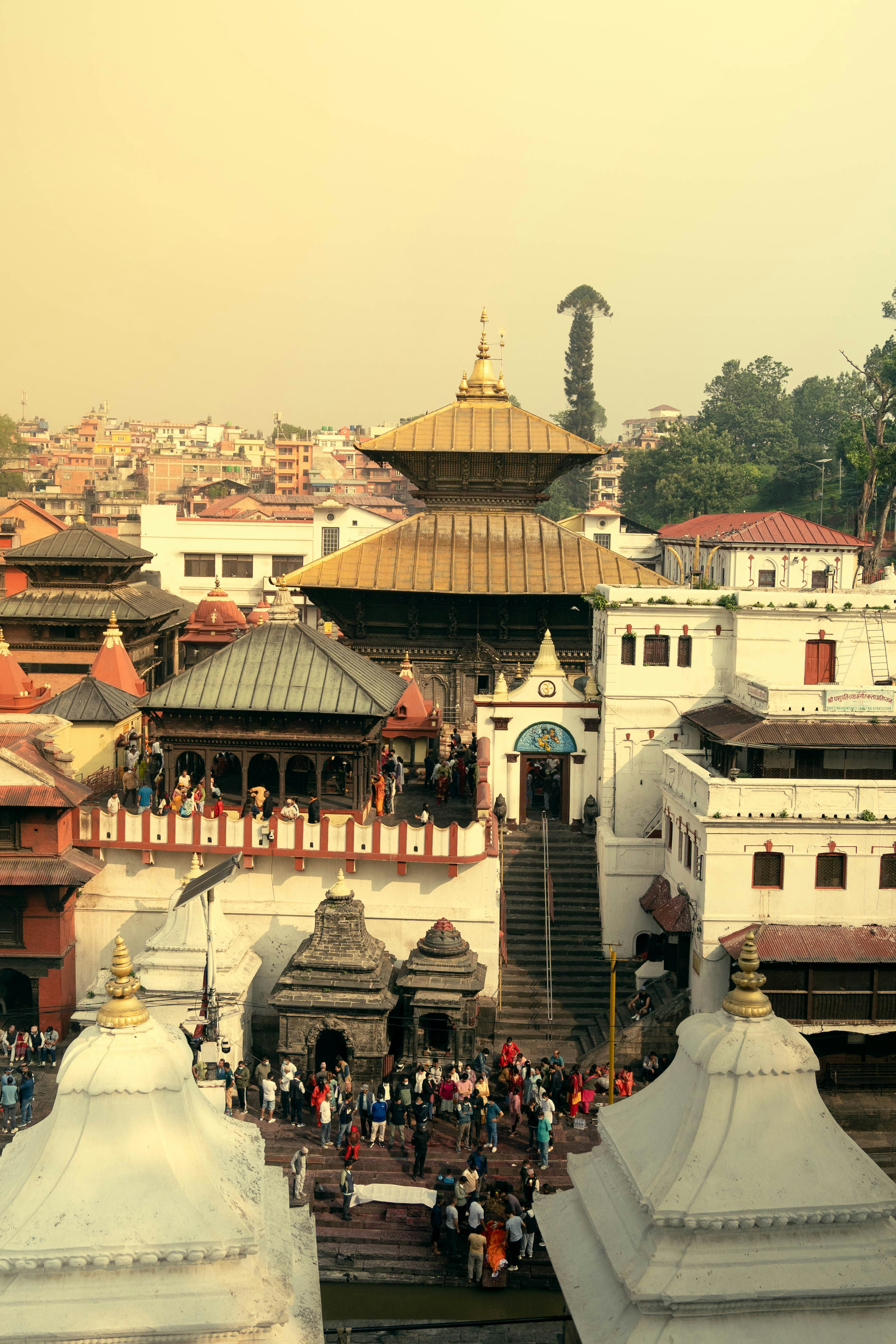 A bustling scene at a sacred temple complex, showcasing intricate architecture and a gathering of devotees. The vibrant atmosphere reflects the cultural significance of the location.