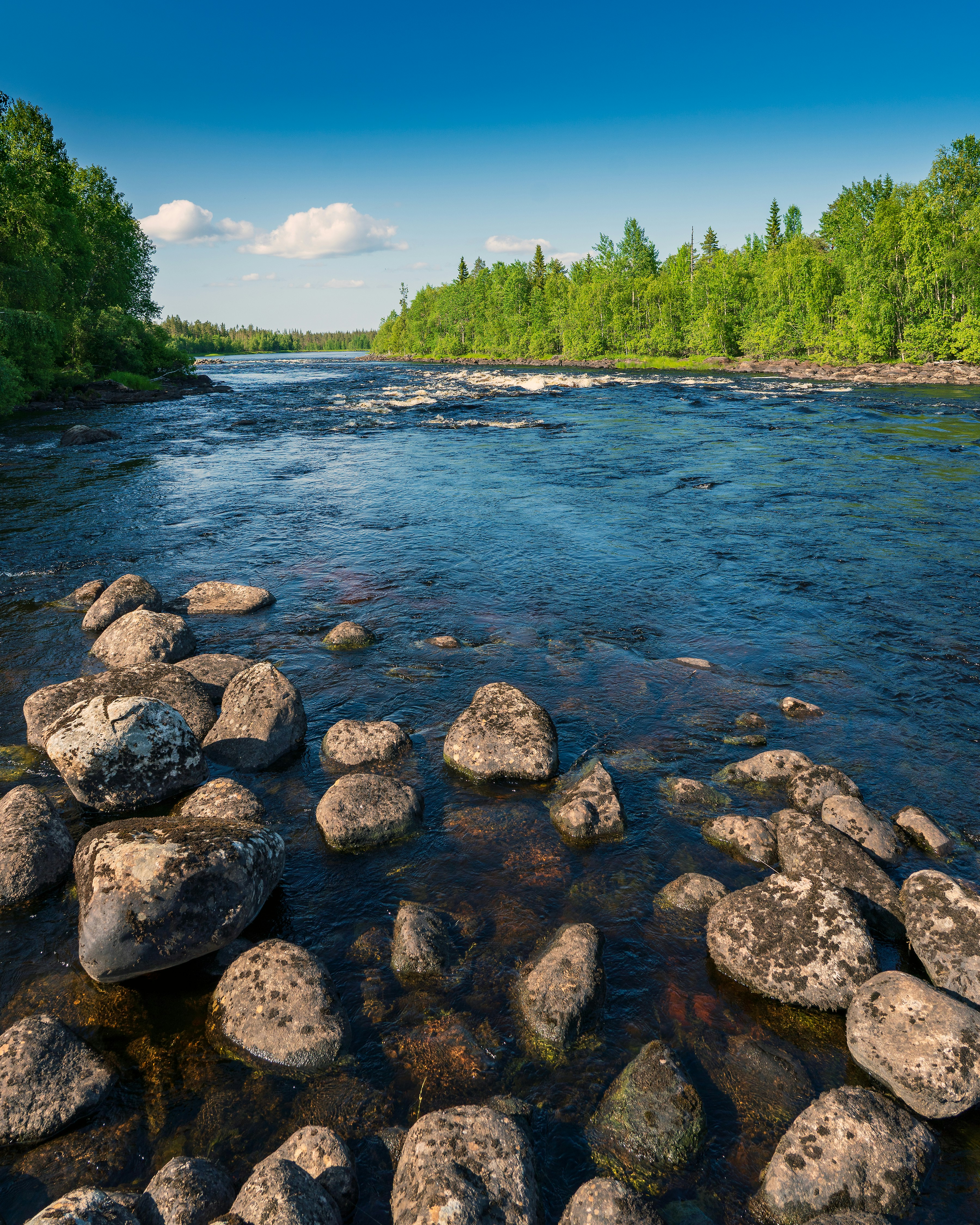 Flowing river bordered by smooth stones and lush greenery, capturing a tranquil natural scene. 
