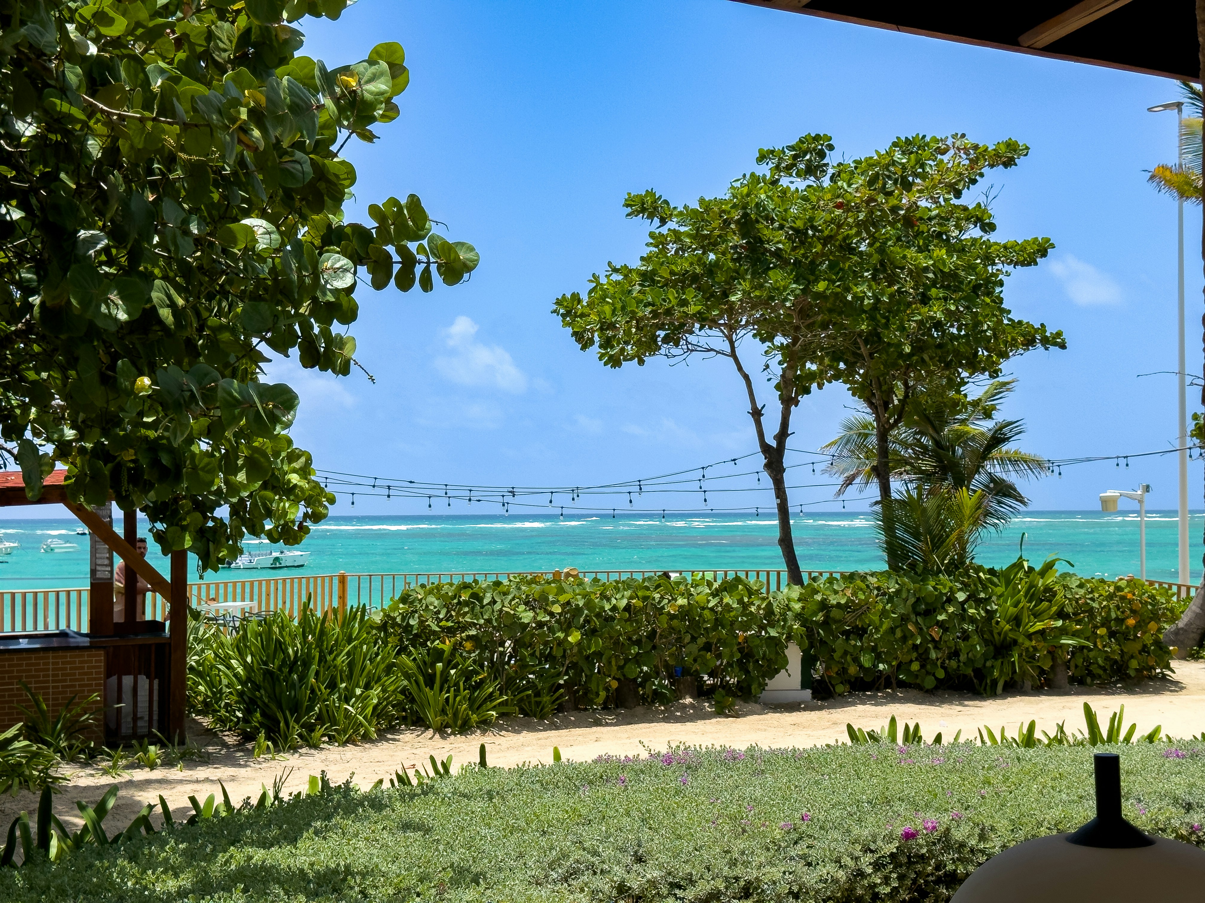 Scenic ocean view through greenery.