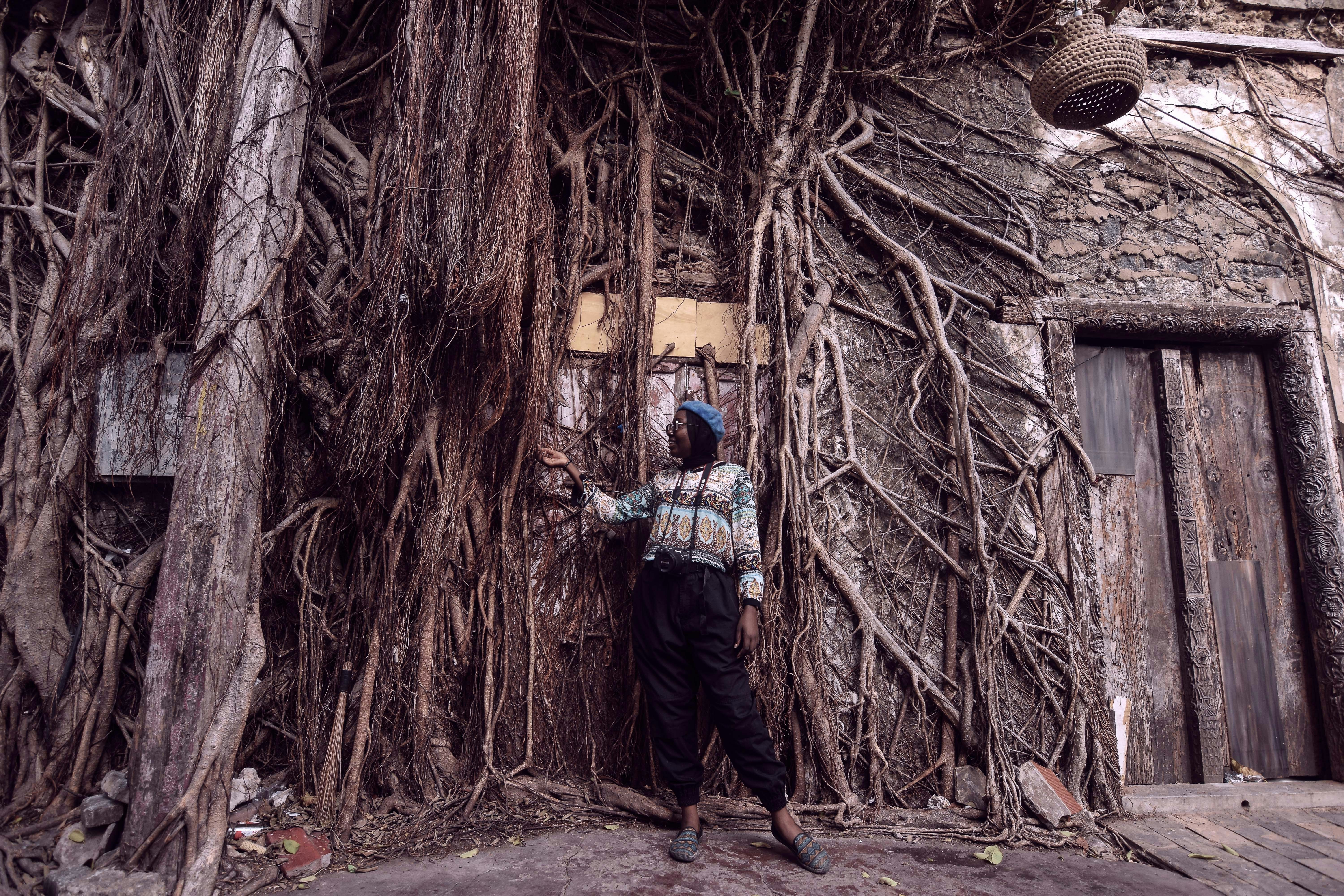 Nature's Embrace: A Dance with the Past