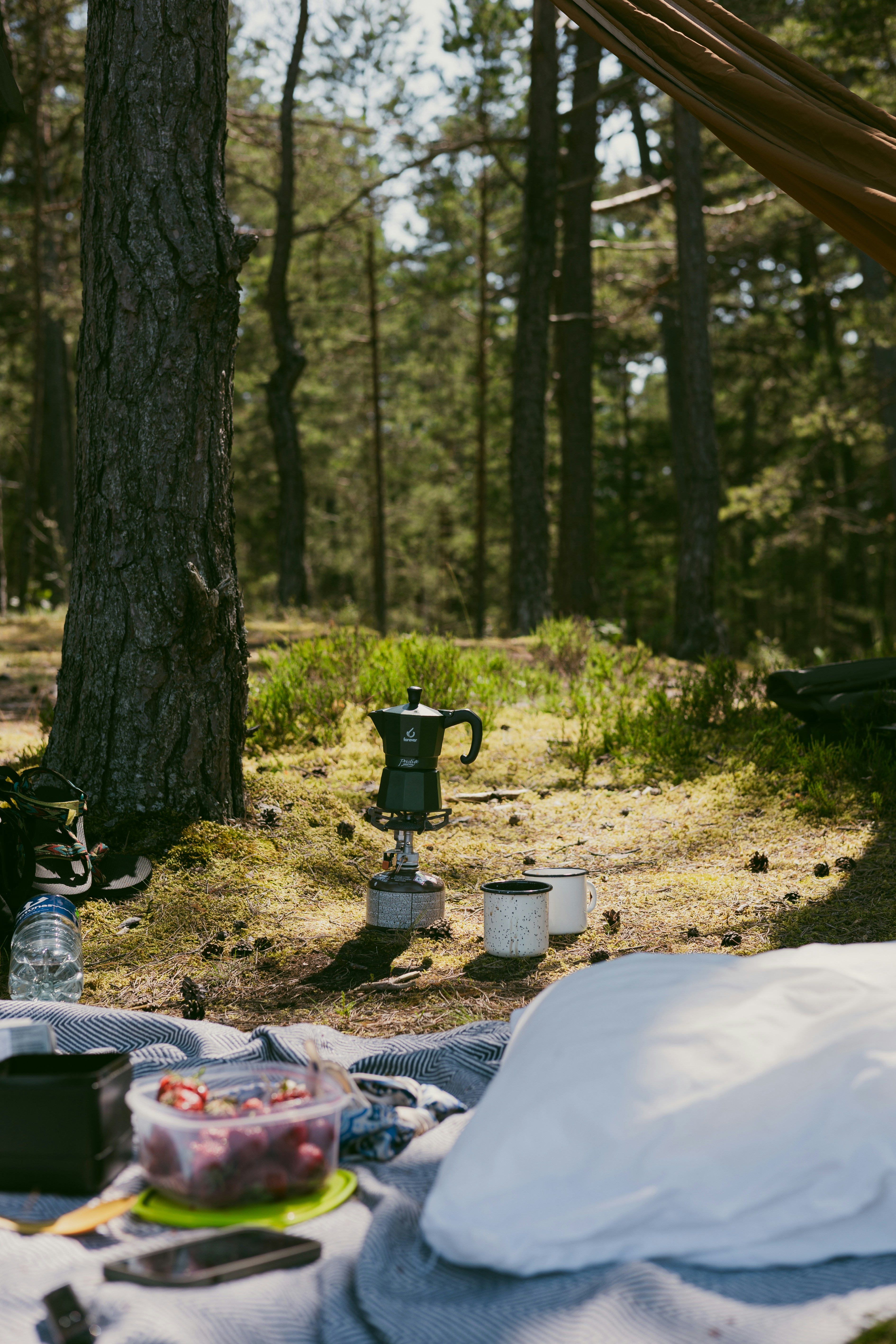 Brewing Serenity: A Moment in Nature's Embrace
