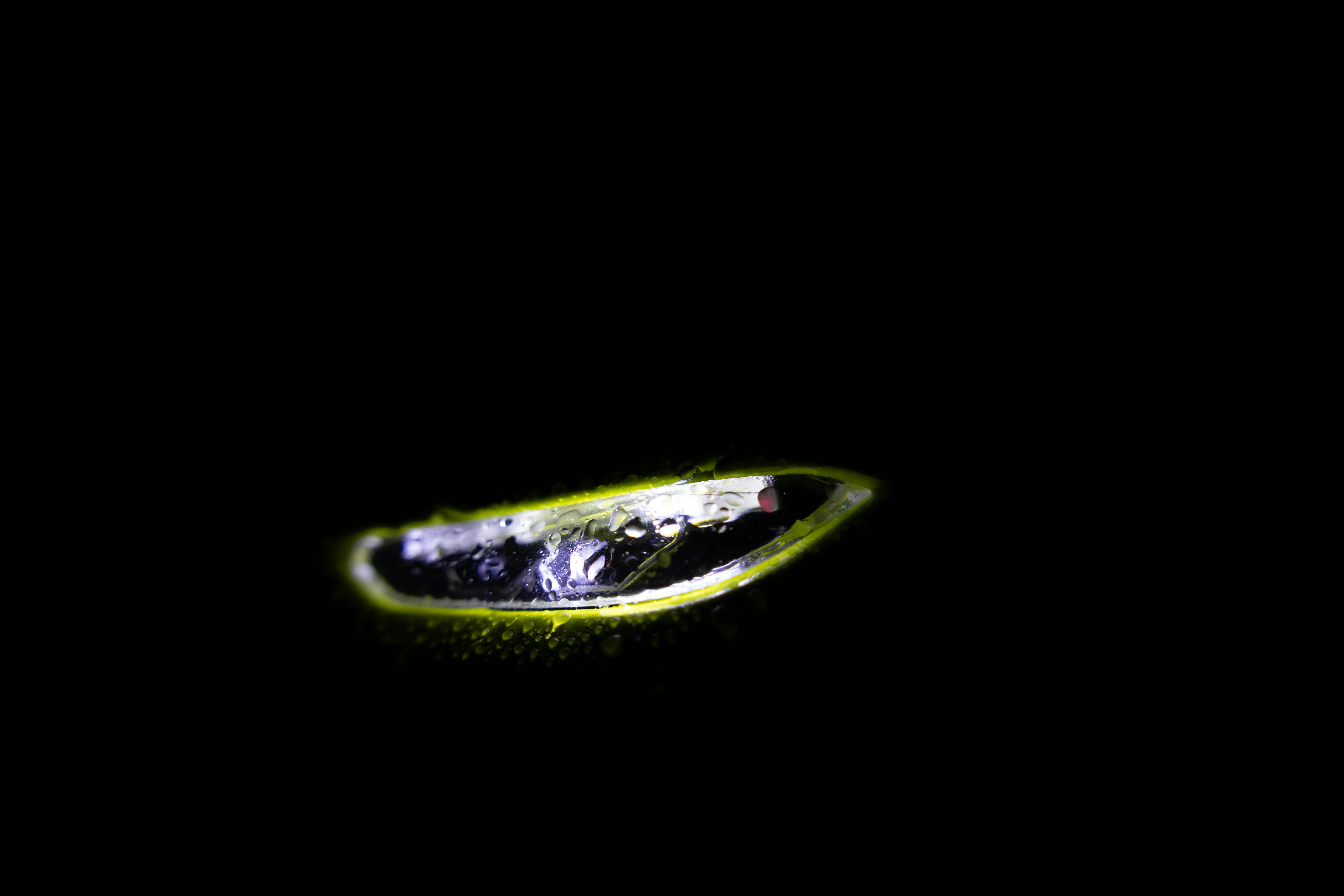 Neon Crescent on Night: A Macro Glow Framing a Dark Core