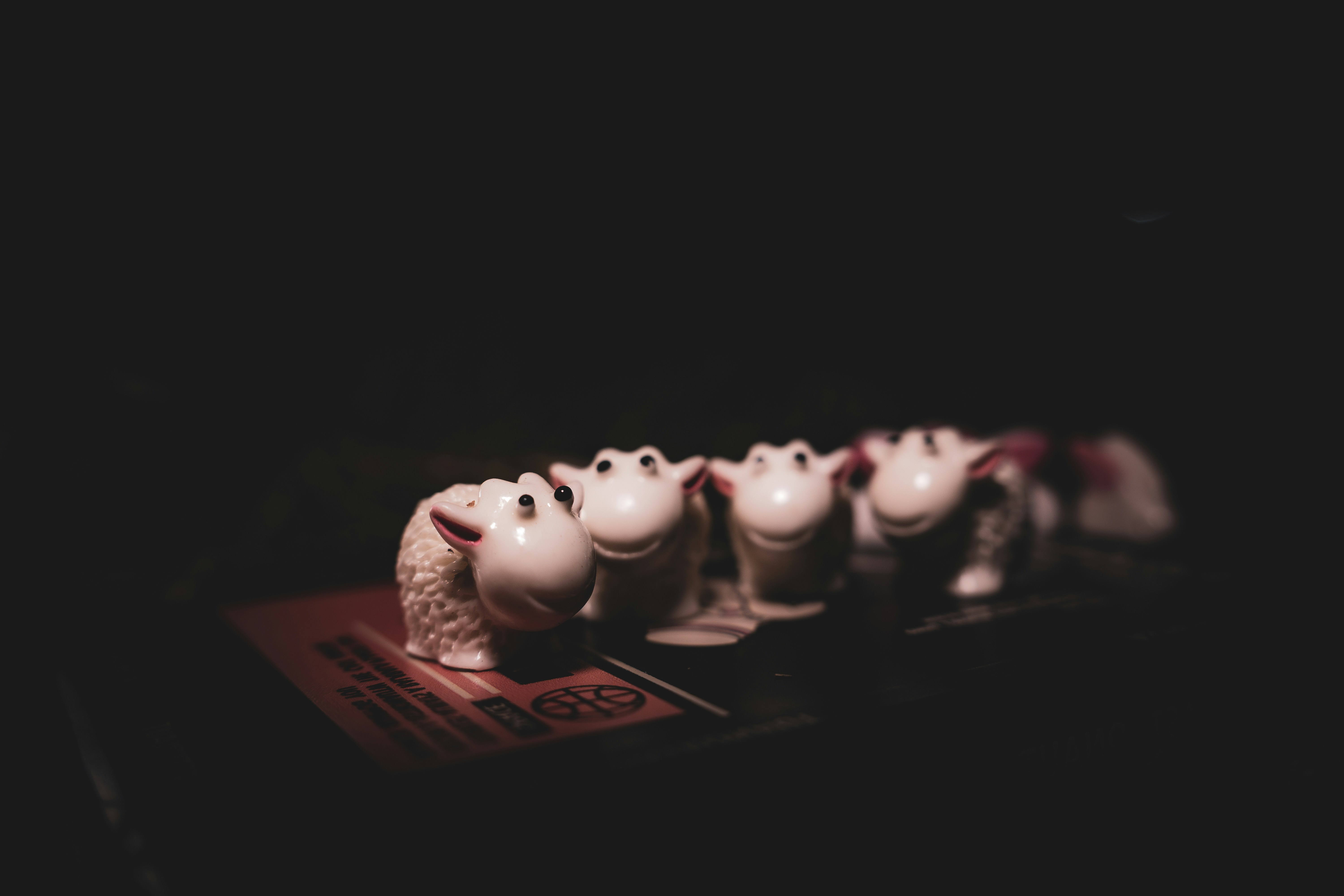 Whimsical Gathering of Miniature Sheep