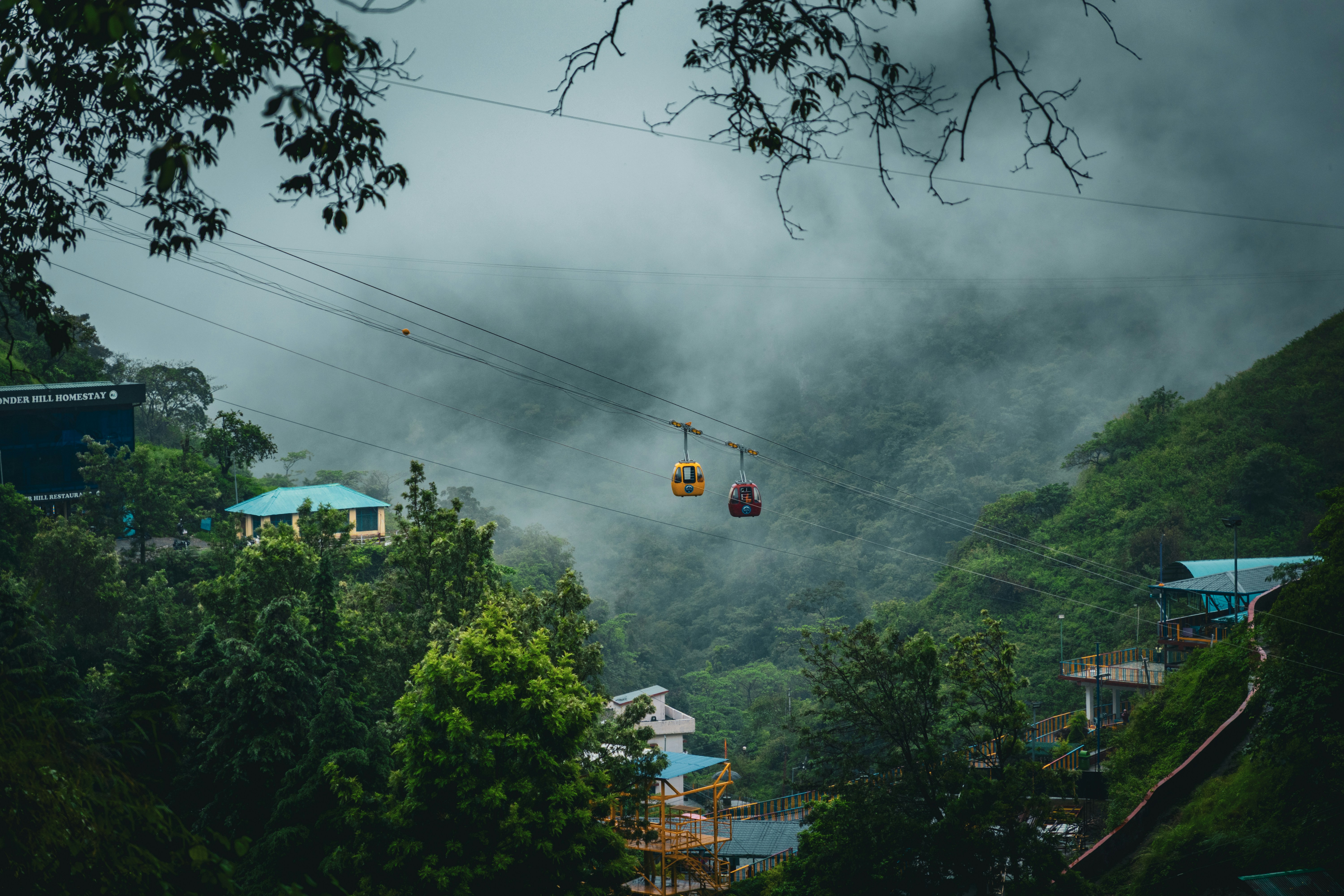 Ascending Through the Mist: A Journey Above the Canopy