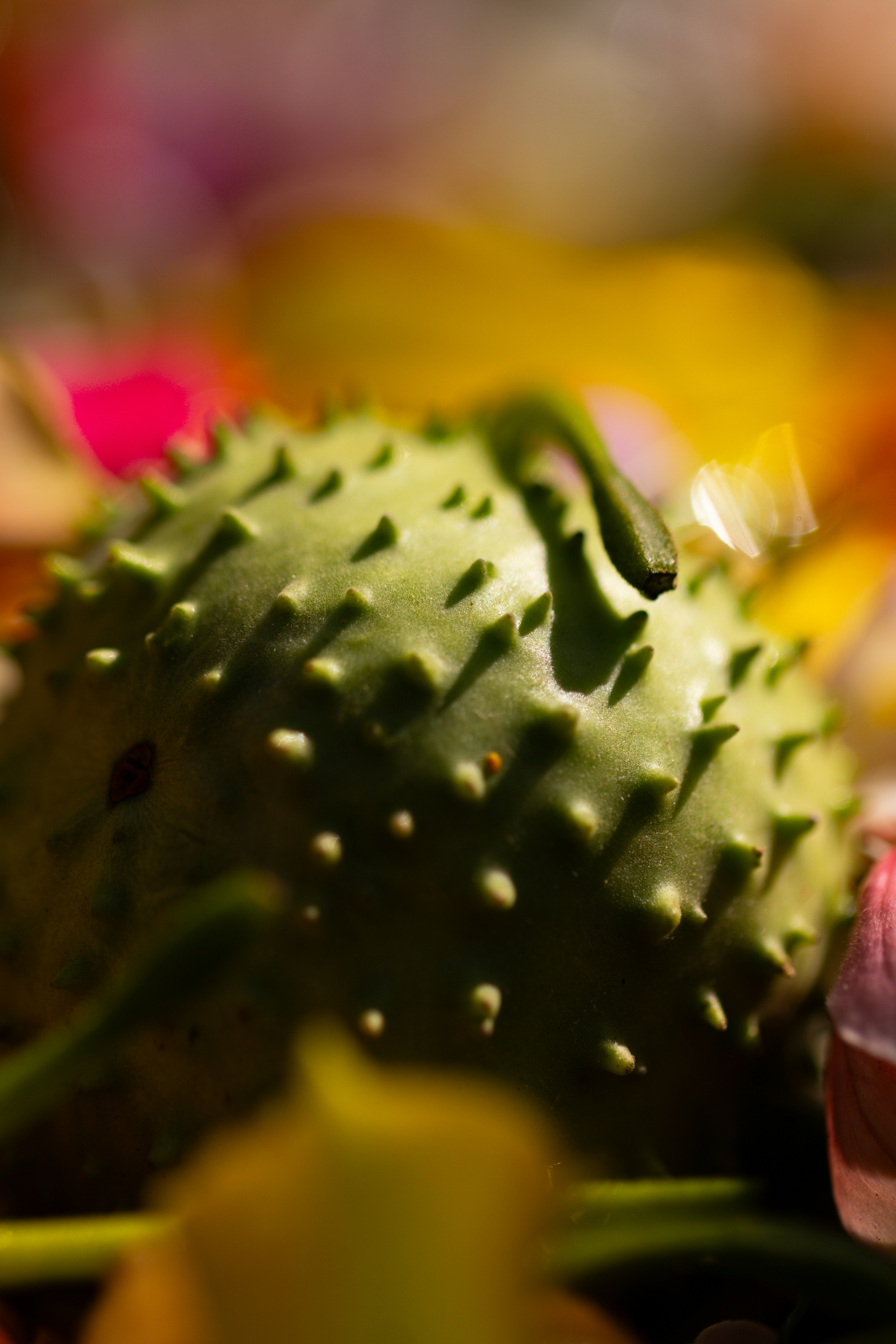 Nature's Armor: The Spiky Guardian