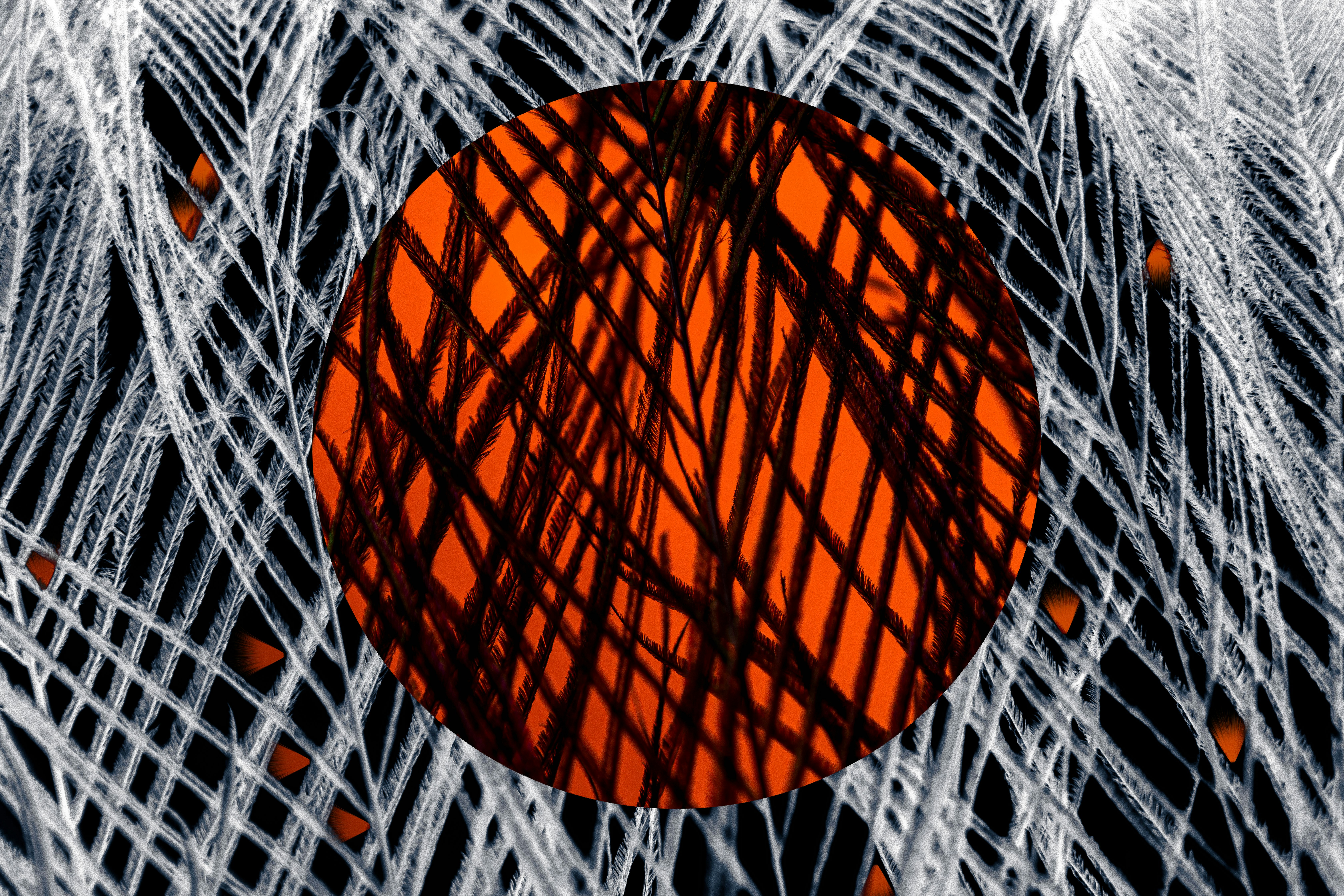 An orange circle with lines and a white background.