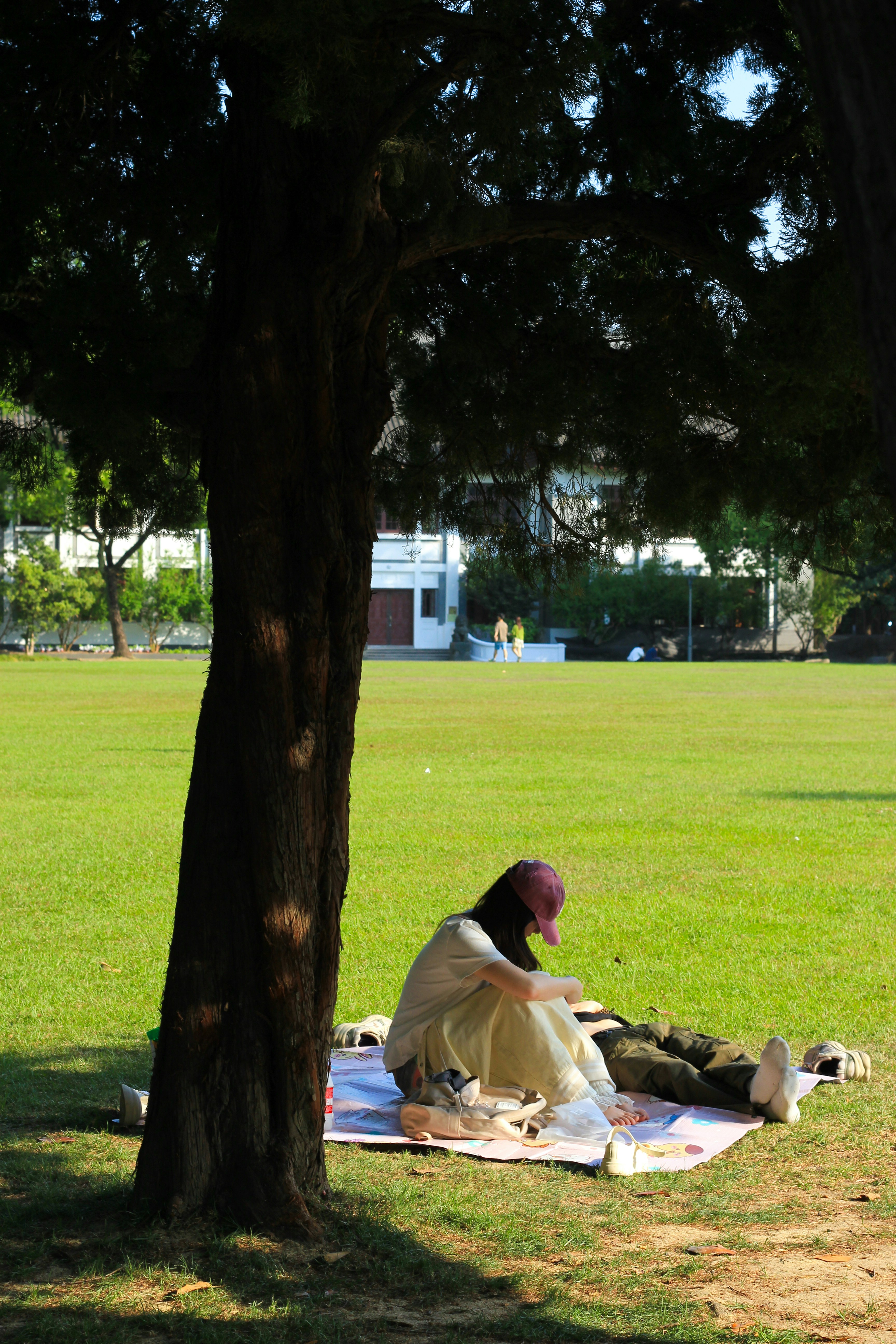 A person seated on a picnic blanket under a tree, enjoying a peaceful moment in a lush green park.