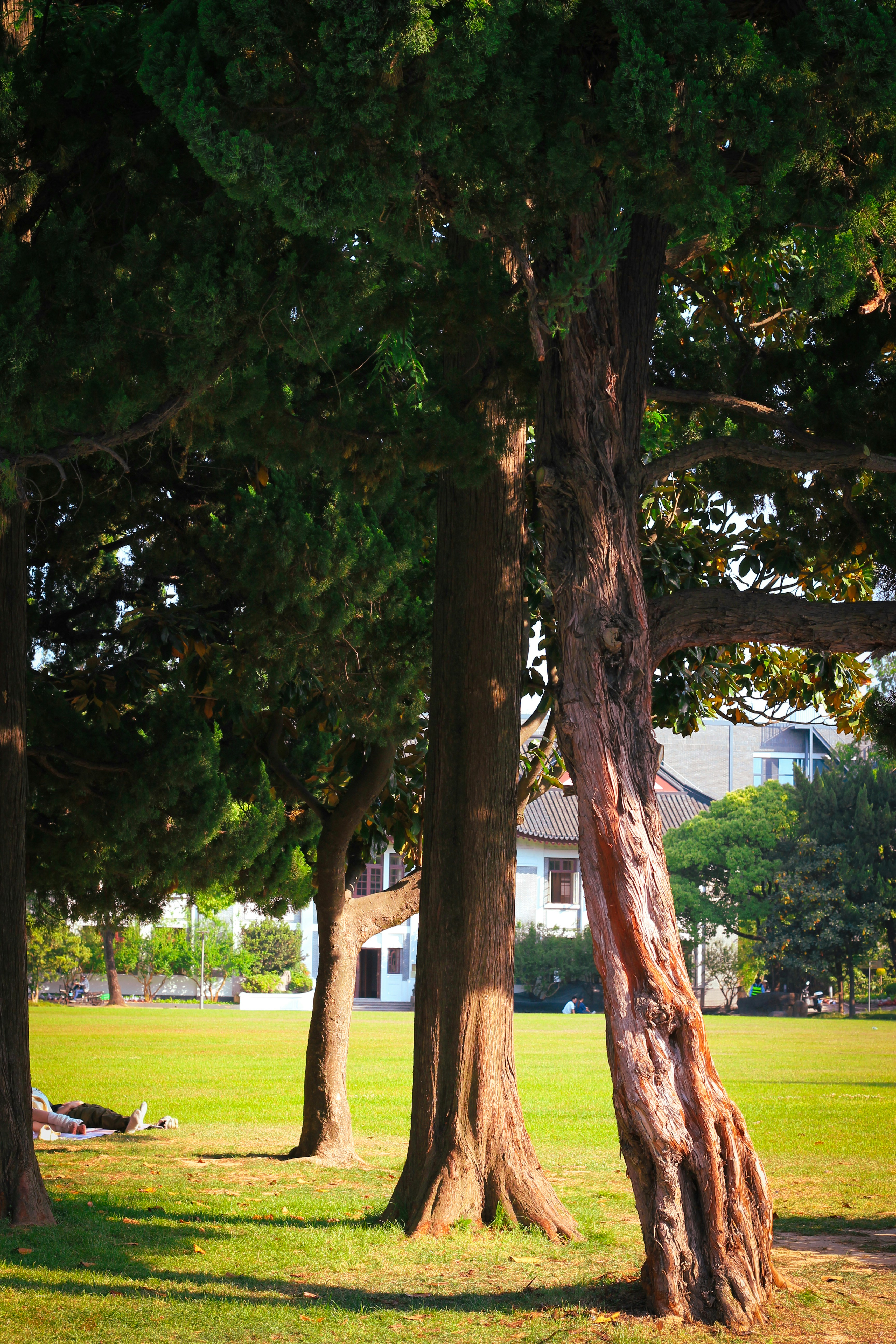 Photo by DOKYUNG KIM with Canon EOS 550D