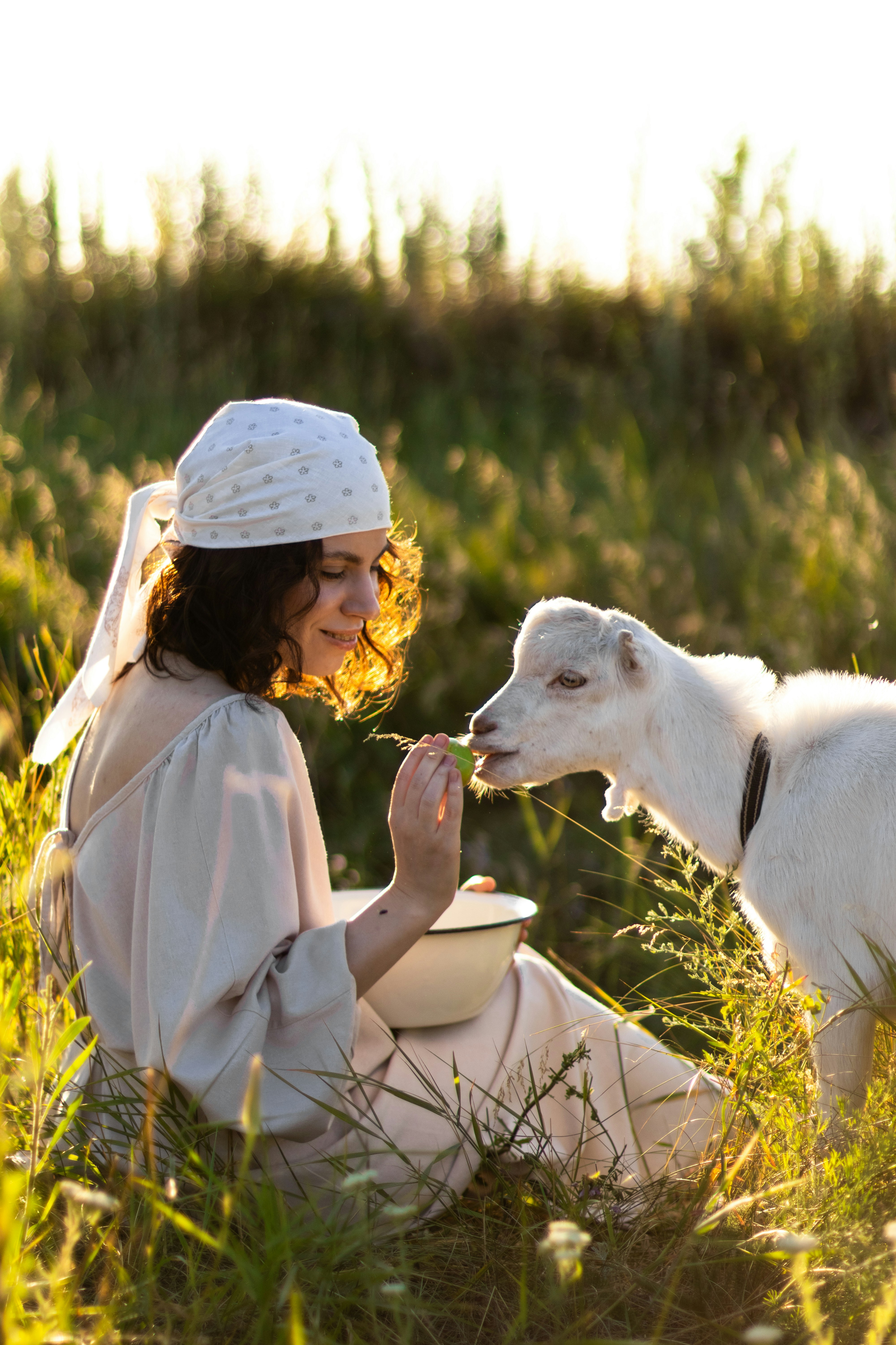 Golden Hour Communion: A Woman and a White Dog Share a Meadow Moment