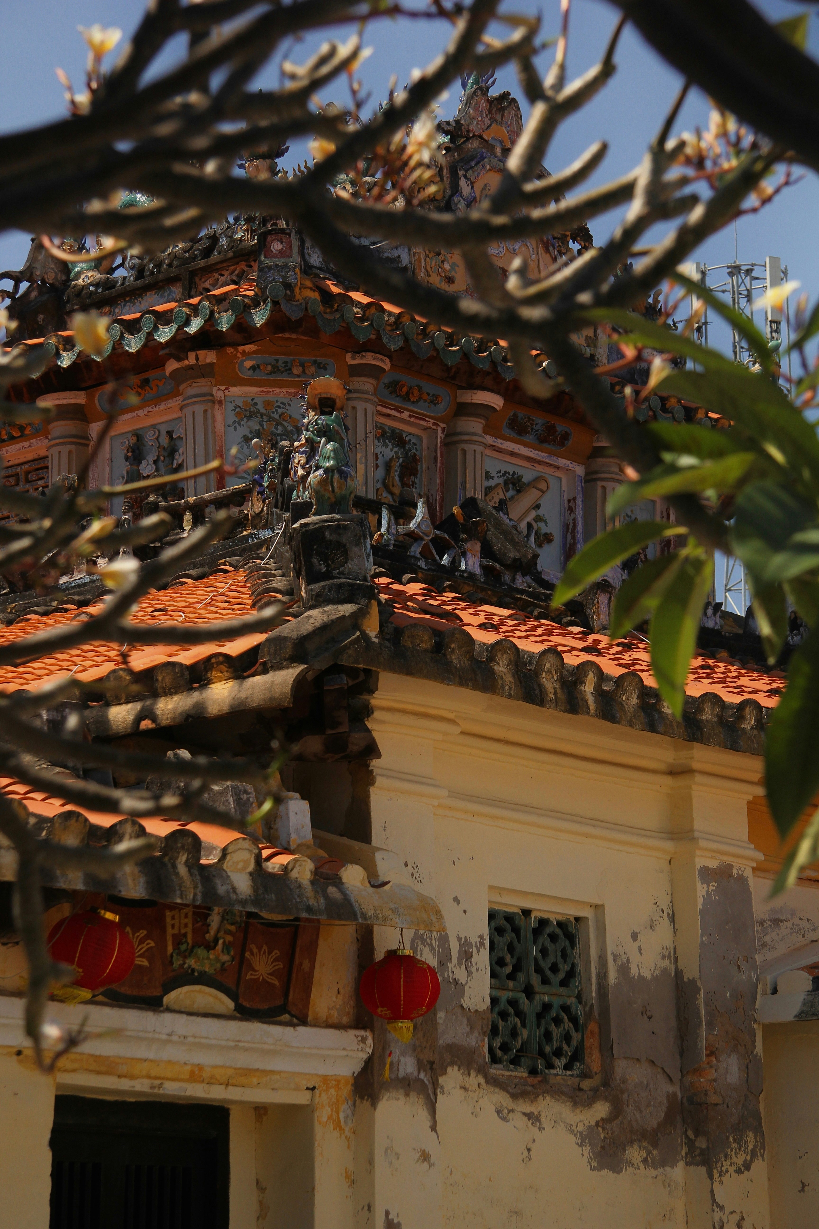 Framed Temple Rooftop: Dragon Carvings and Lanterns Amid Branches