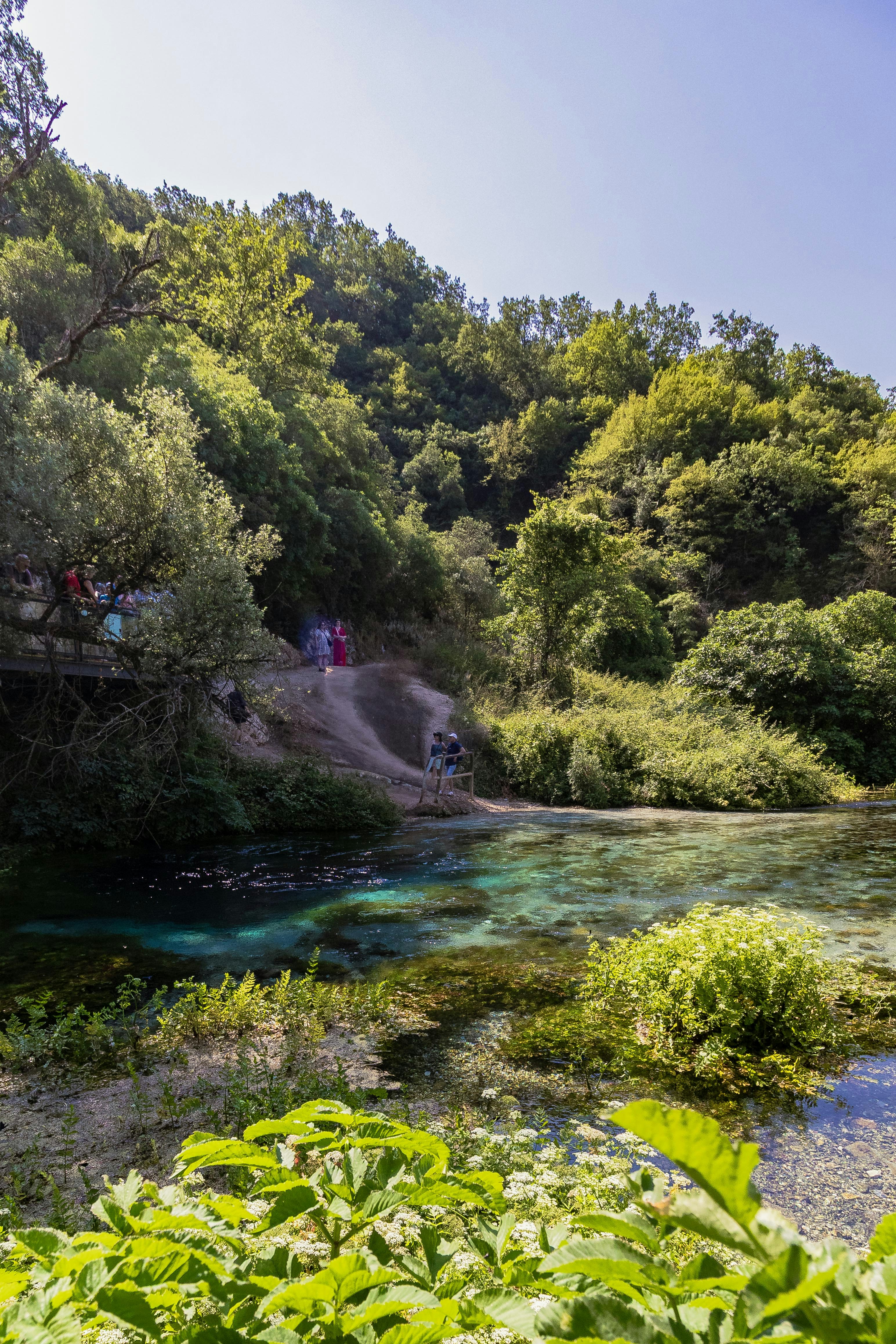 Crystal-clear waters flow by lush greenery.