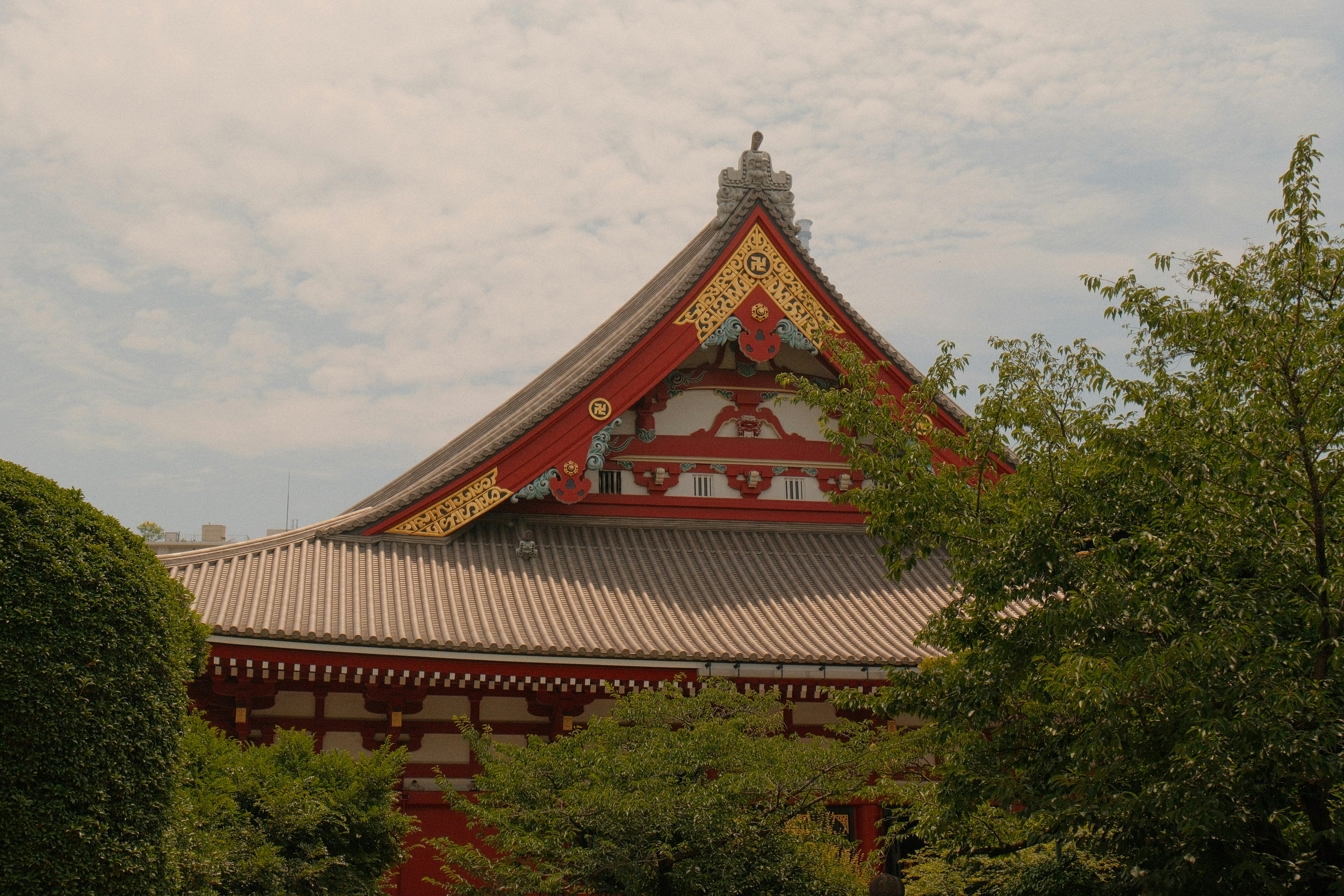 A japanese temple roof is visible through the trees.