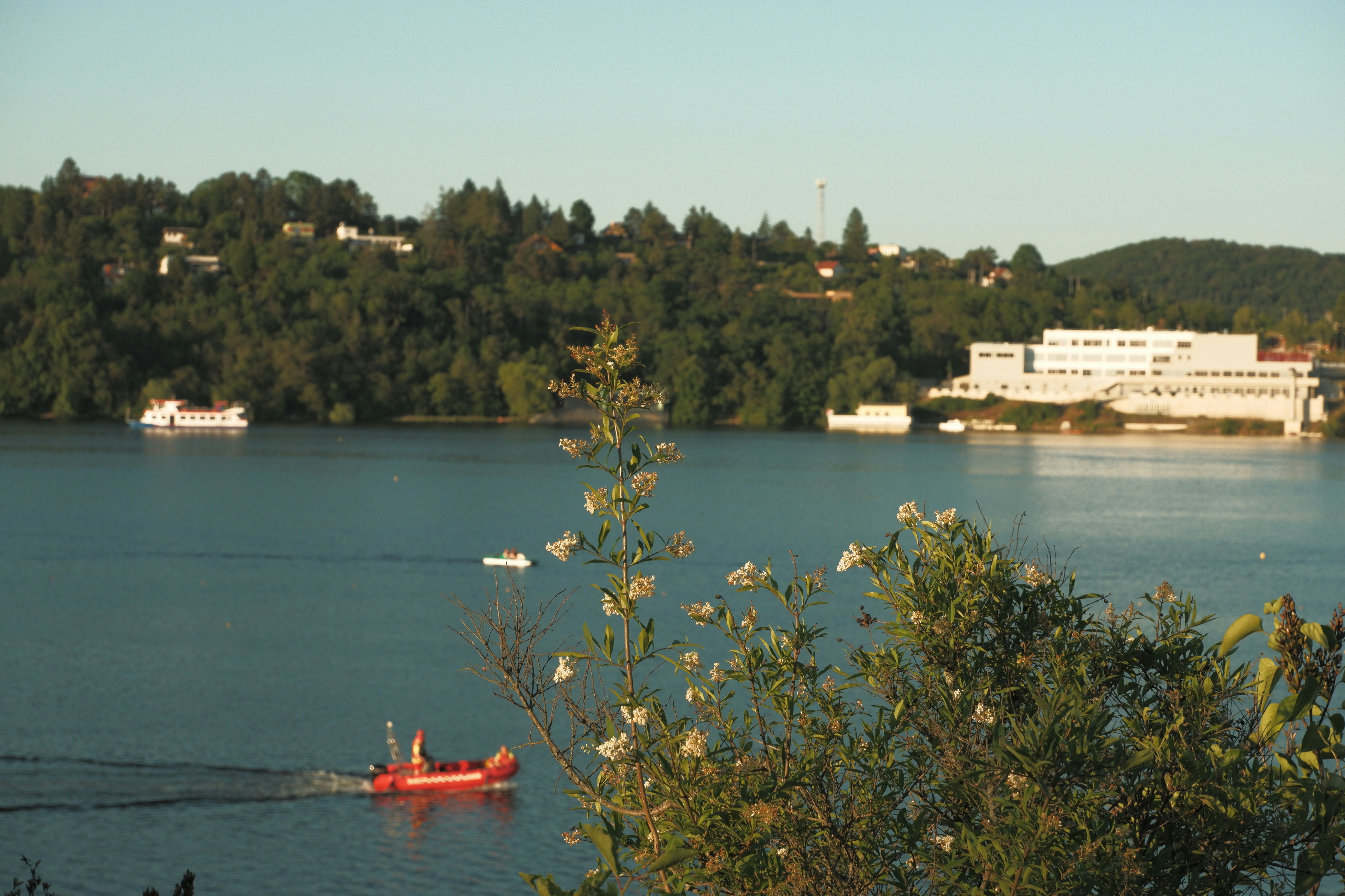 A vibrant red boat glides through calm waters, framed by lush greenery and distant hills. The scene captures a tranquil moment in nature.