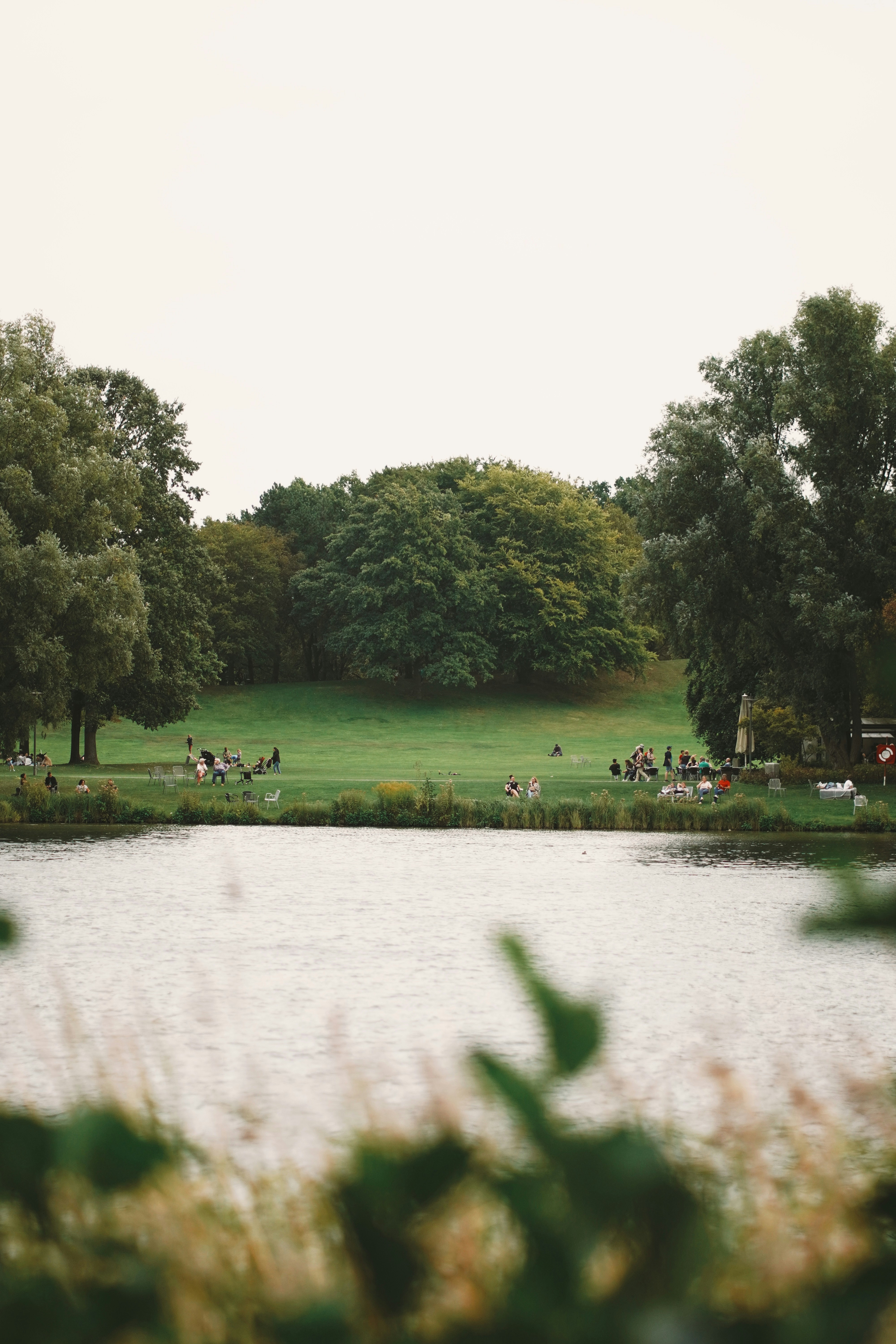 People relax by a lake under trees.