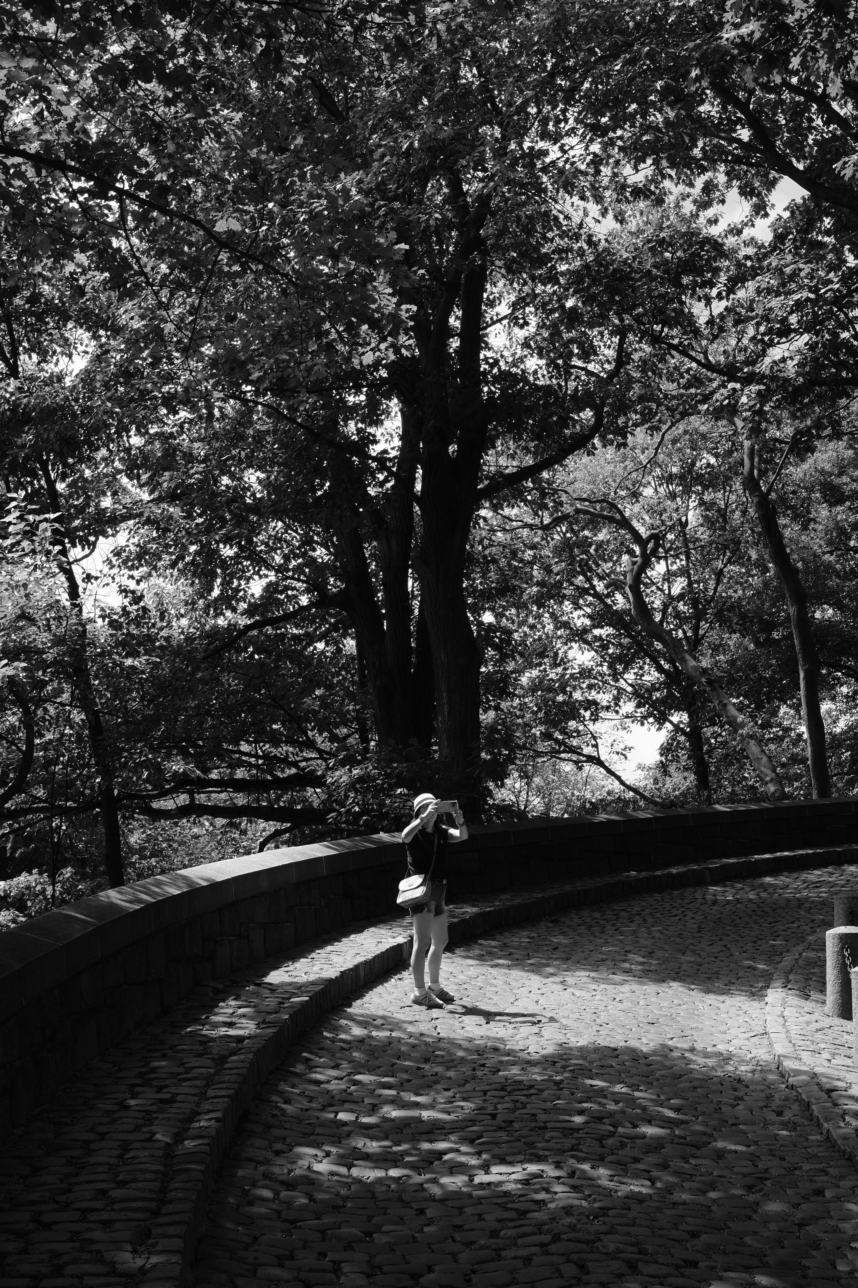 A person stands on a curved stone pathway, framed by lush trees, capturing the serene atmosphere of their surroundings.