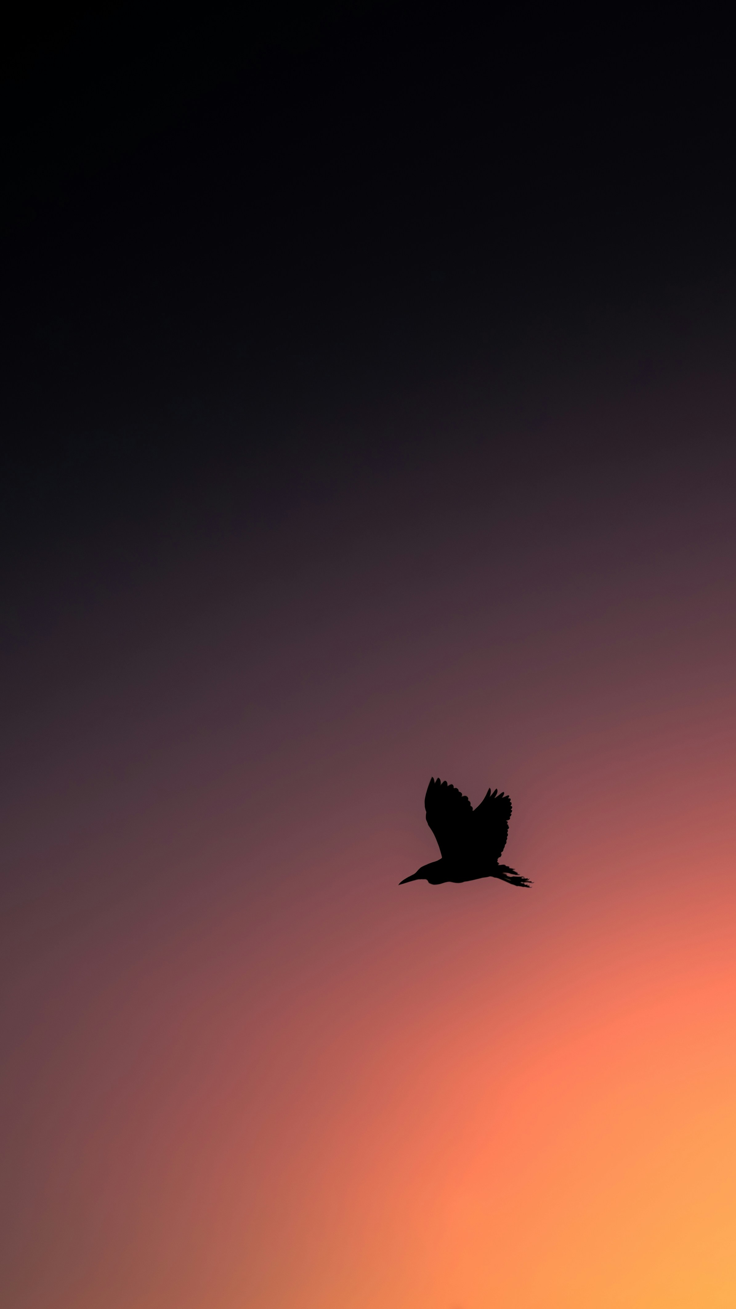 Silhouette of Freedom at Dusk