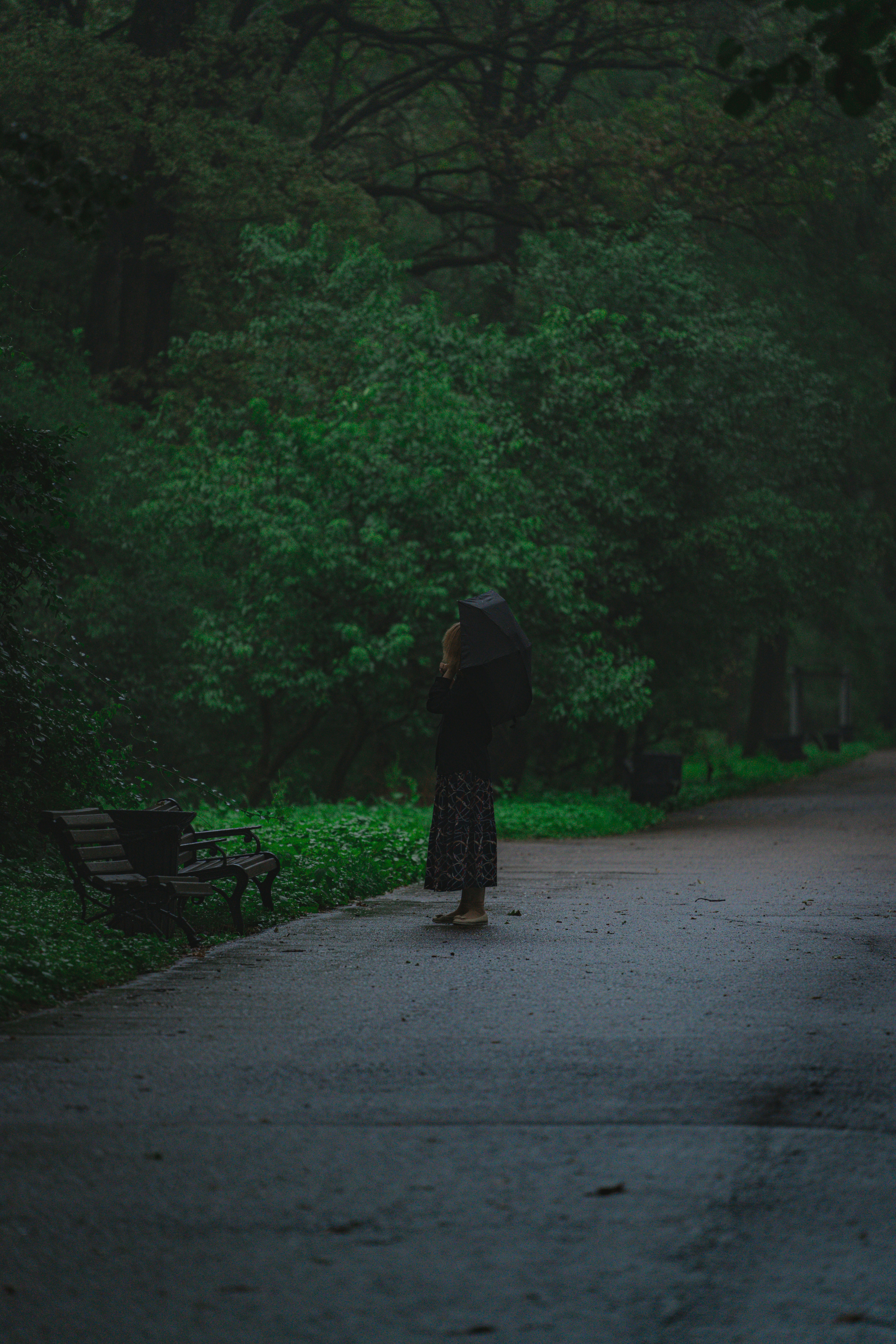 A solitary figure with an umbrella stands on a rain-soaked path surrounded by lush greenery, evoking a sense of introspection.