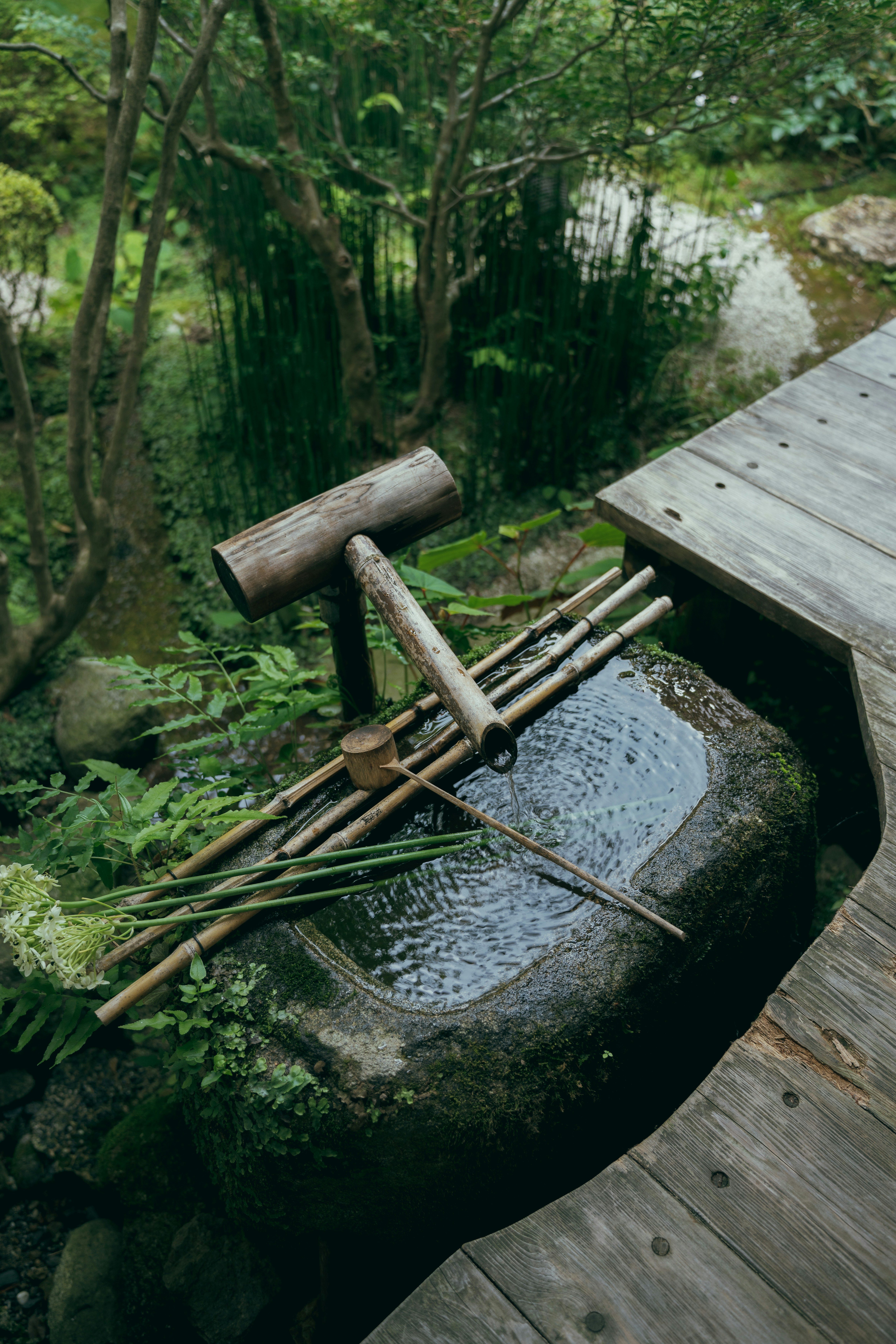 Japanese water basin rests in a lush garden.