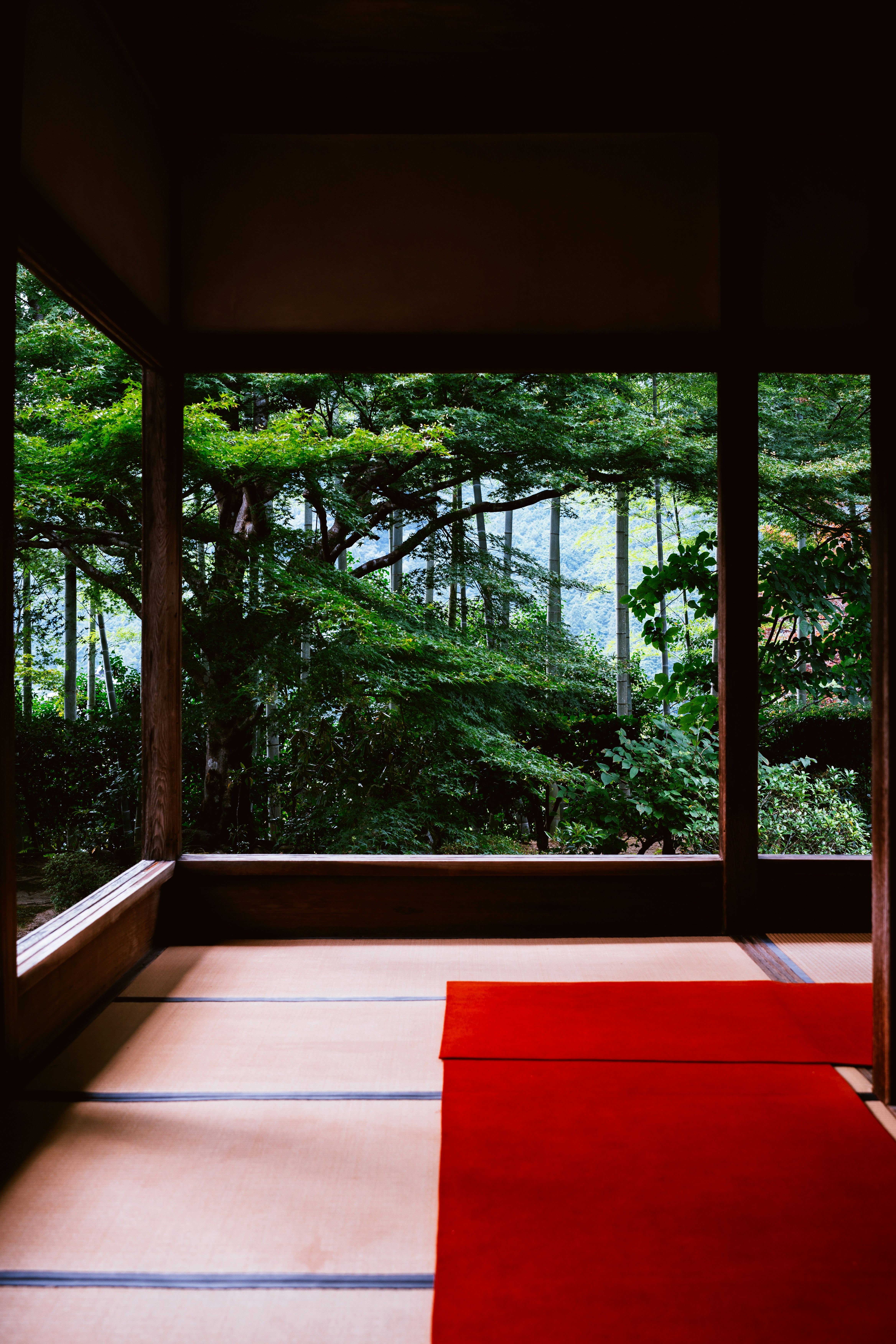 Inside a traditional japanese room, views of nature.