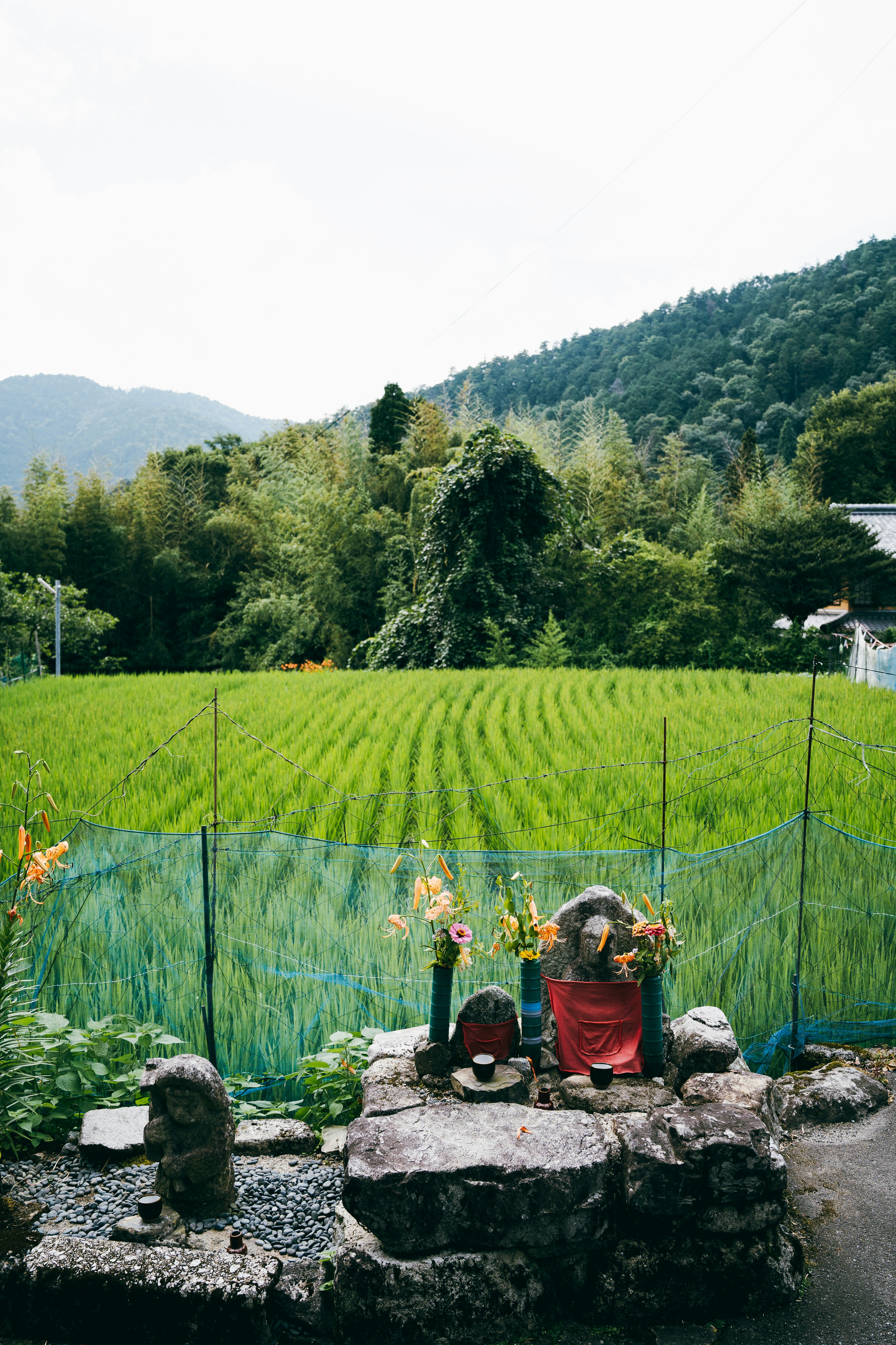 Serene rice field bordered by stone statues adorned with flowers, set against a backdrop of lush mountains and greenery.