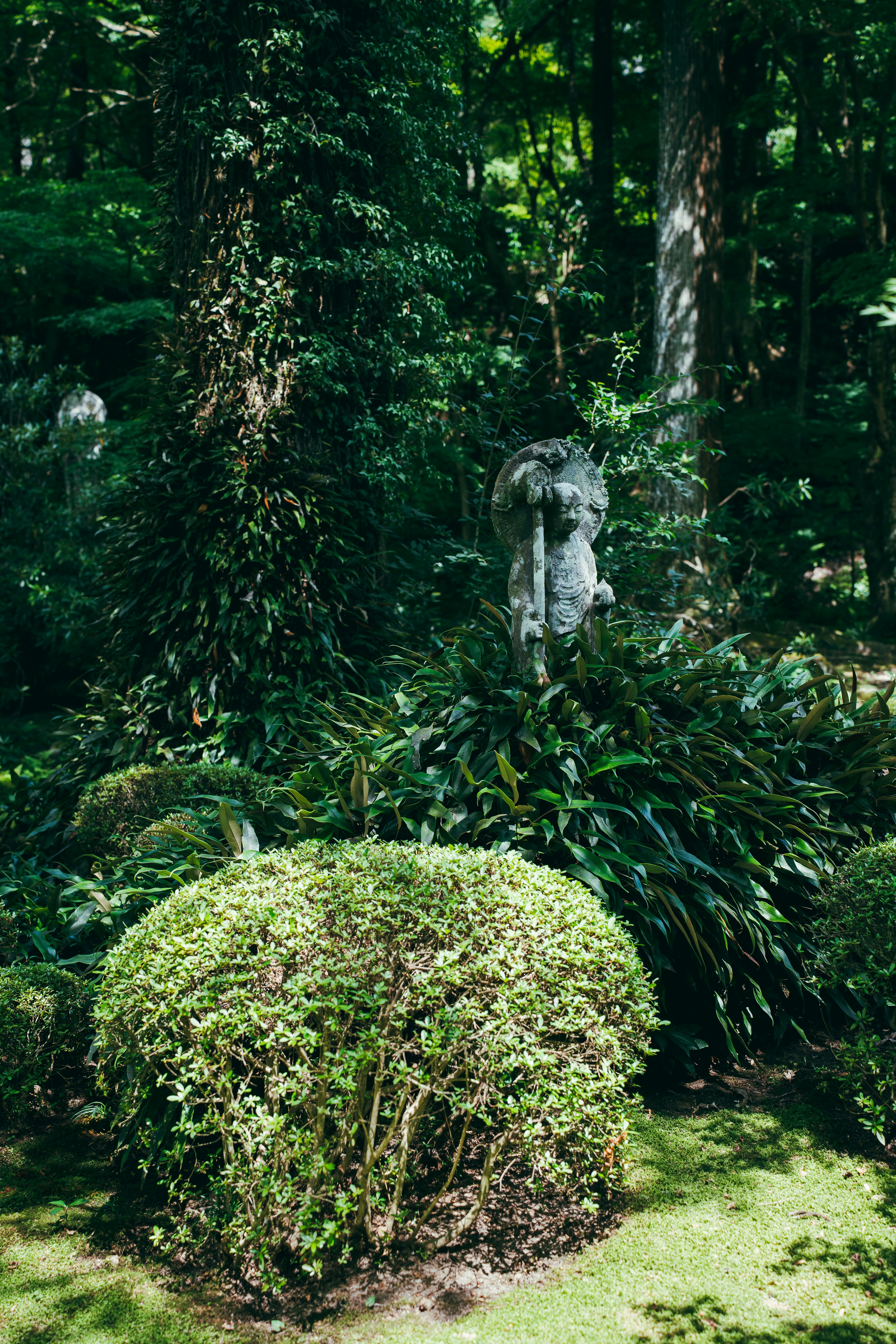 A serene, overgrown garden with statue and greenery.