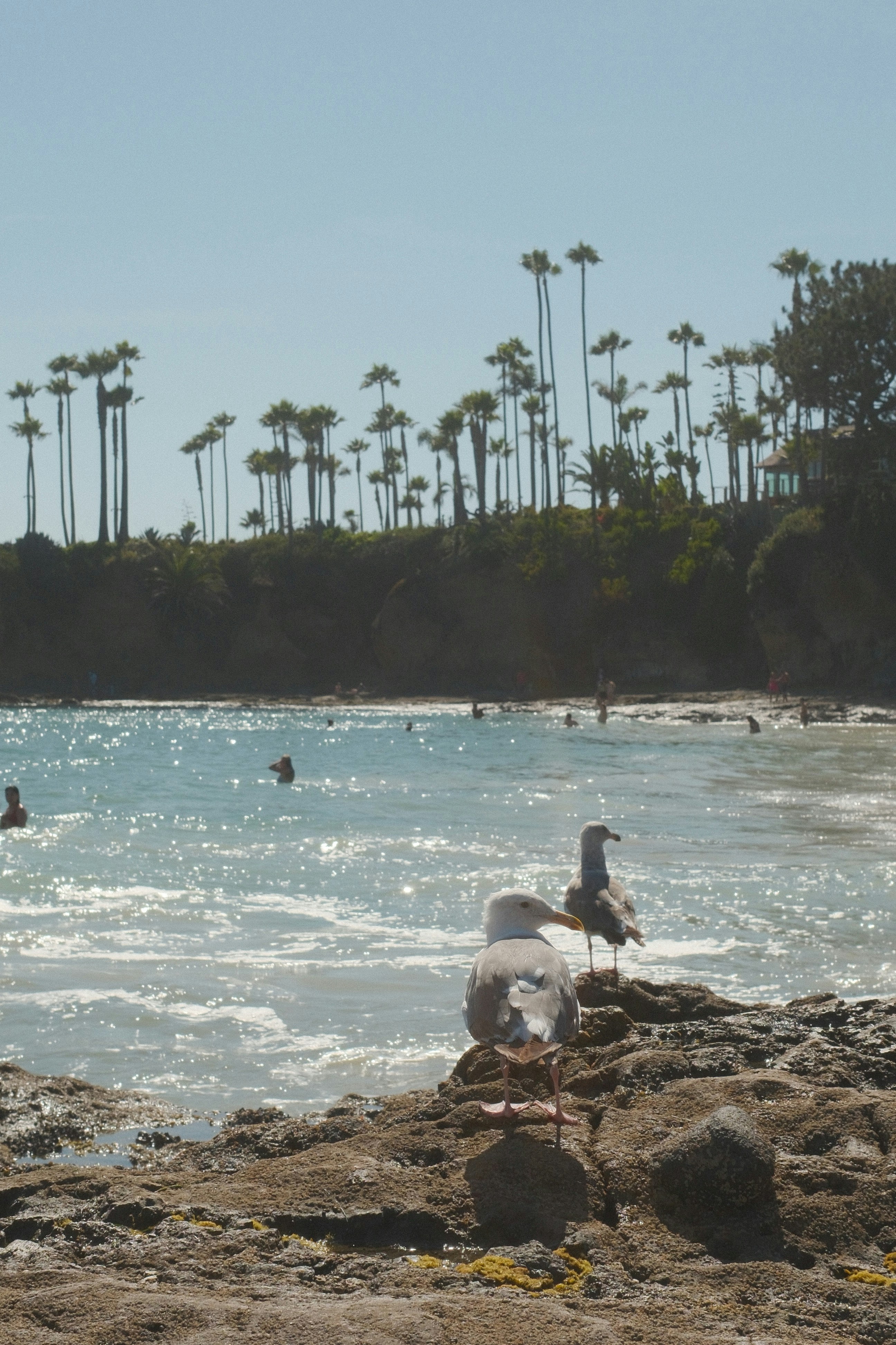 Seaside Serenity: A Day by the Shore
