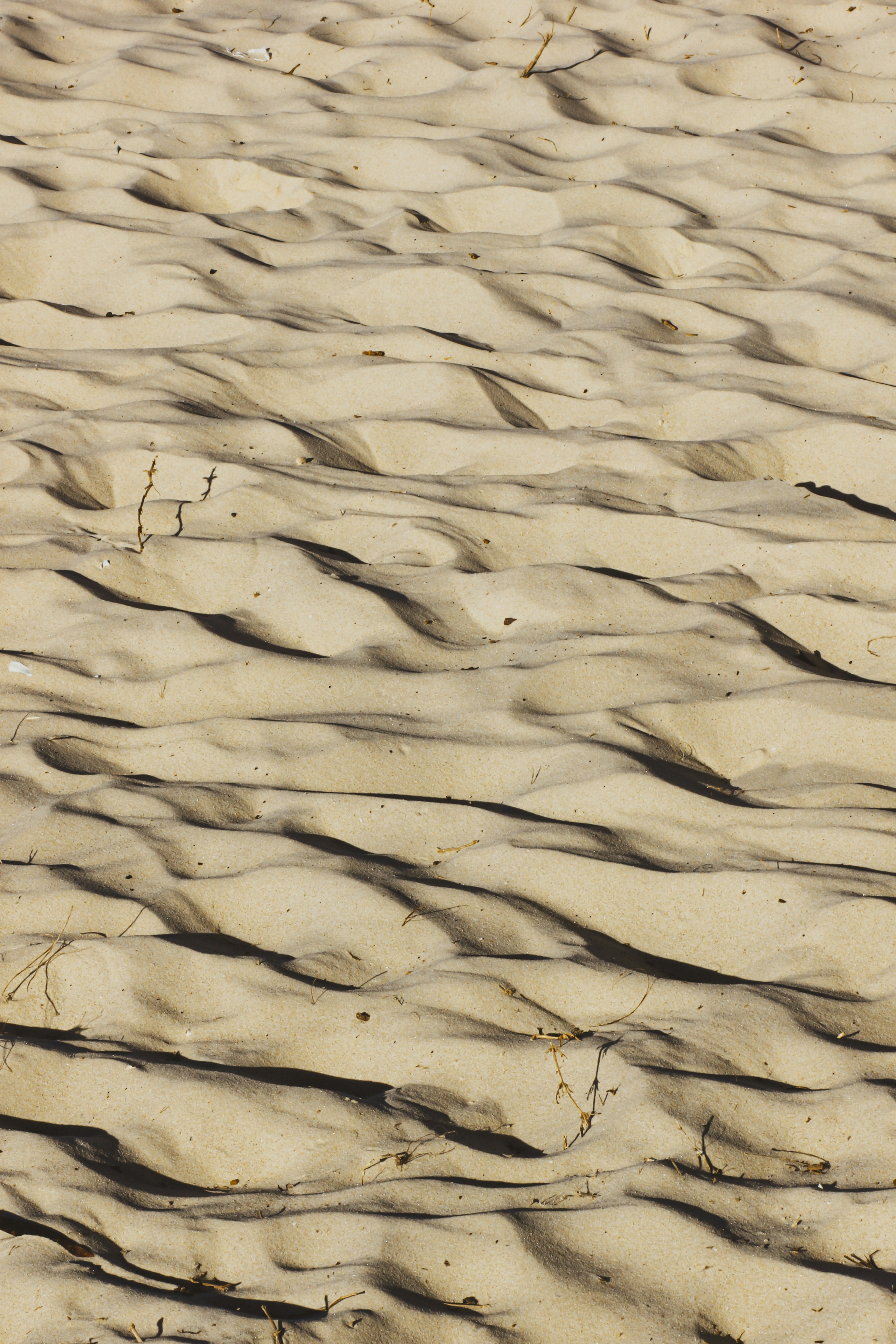 beach, sand, australia. | Wind-swept sand dunes create rippled patterns.