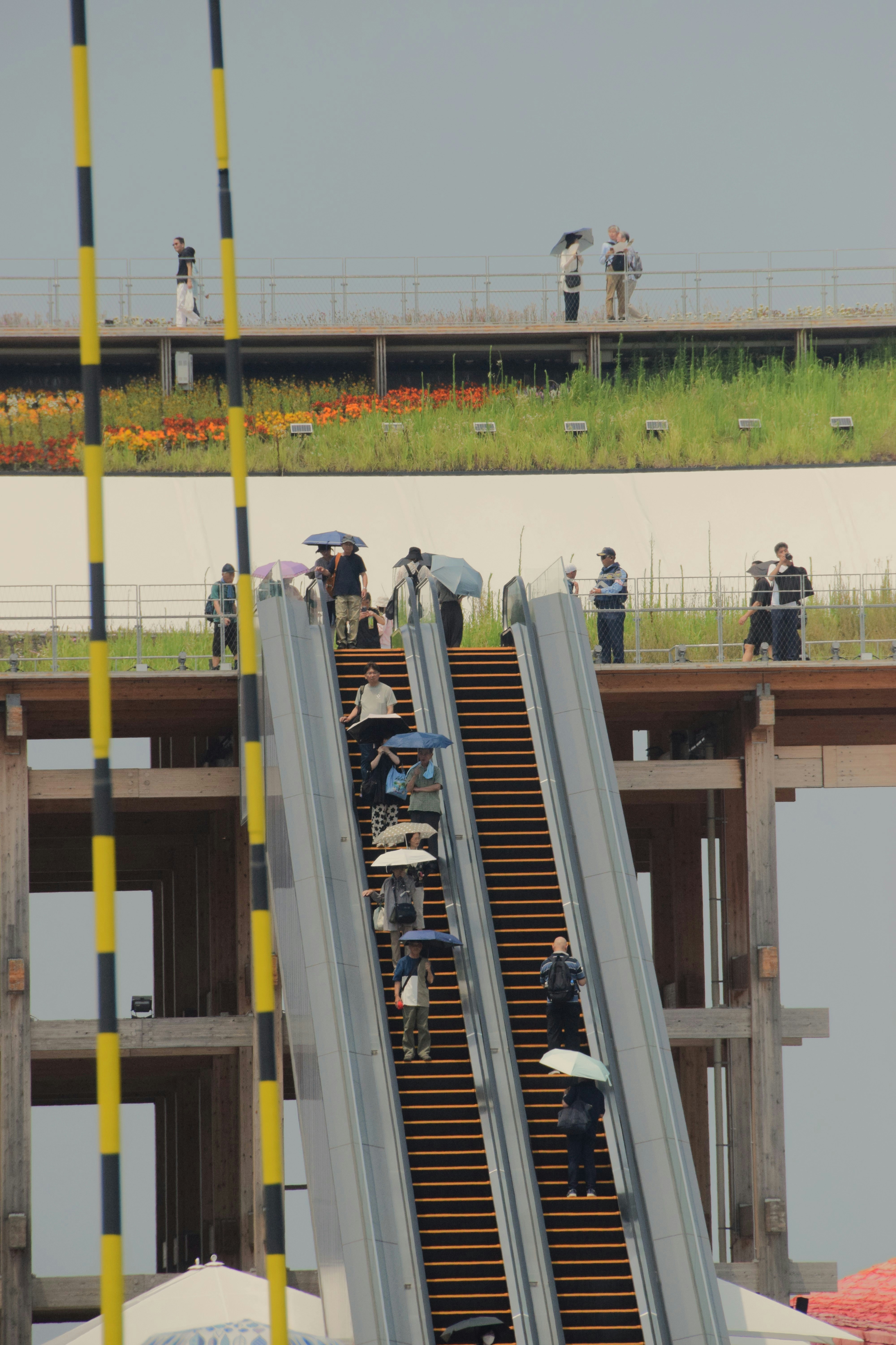 Urban Ascent: A Journey Through Layers