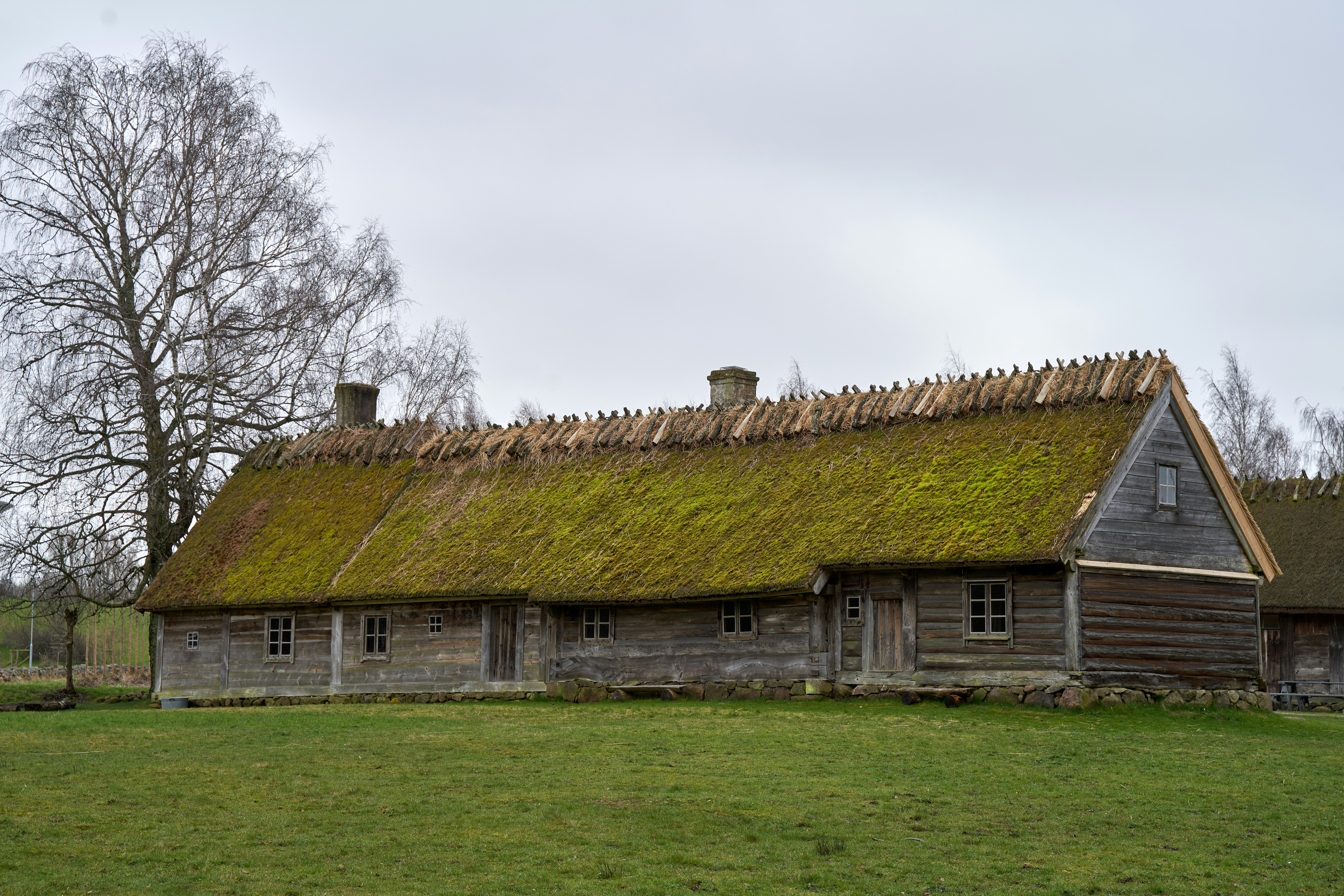 Old wooden farm building with grass and reed roof in Fredriksdal Open-Air Museum, Helsingborg, Sweden | Old wooden house with a mossy roof.