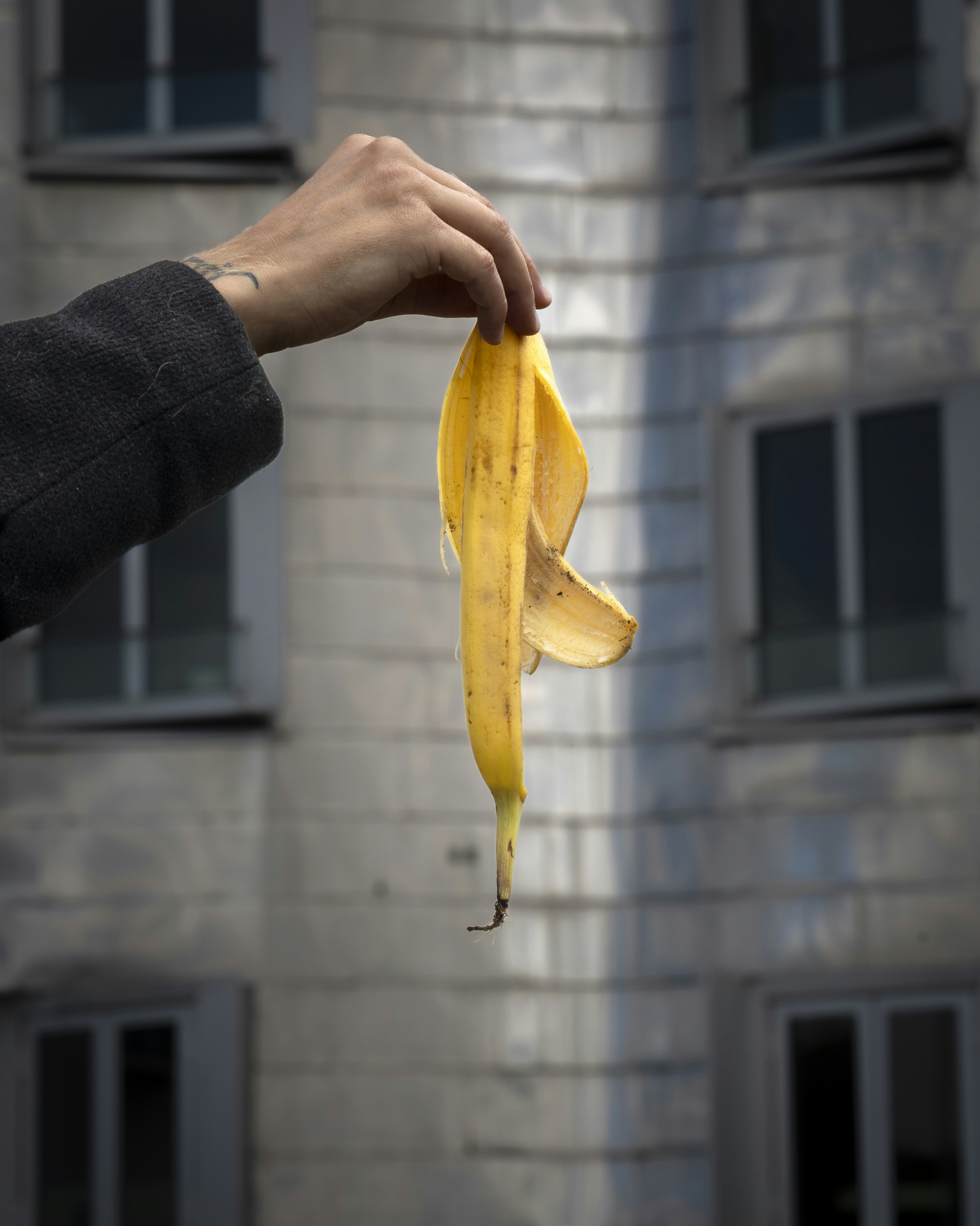 A hand holding a banana peel over a city background, symbolizing organic waste and the importance of proper disposal. A visual message on sustainability and urban responsibility. | A hand holds up a banana peel.