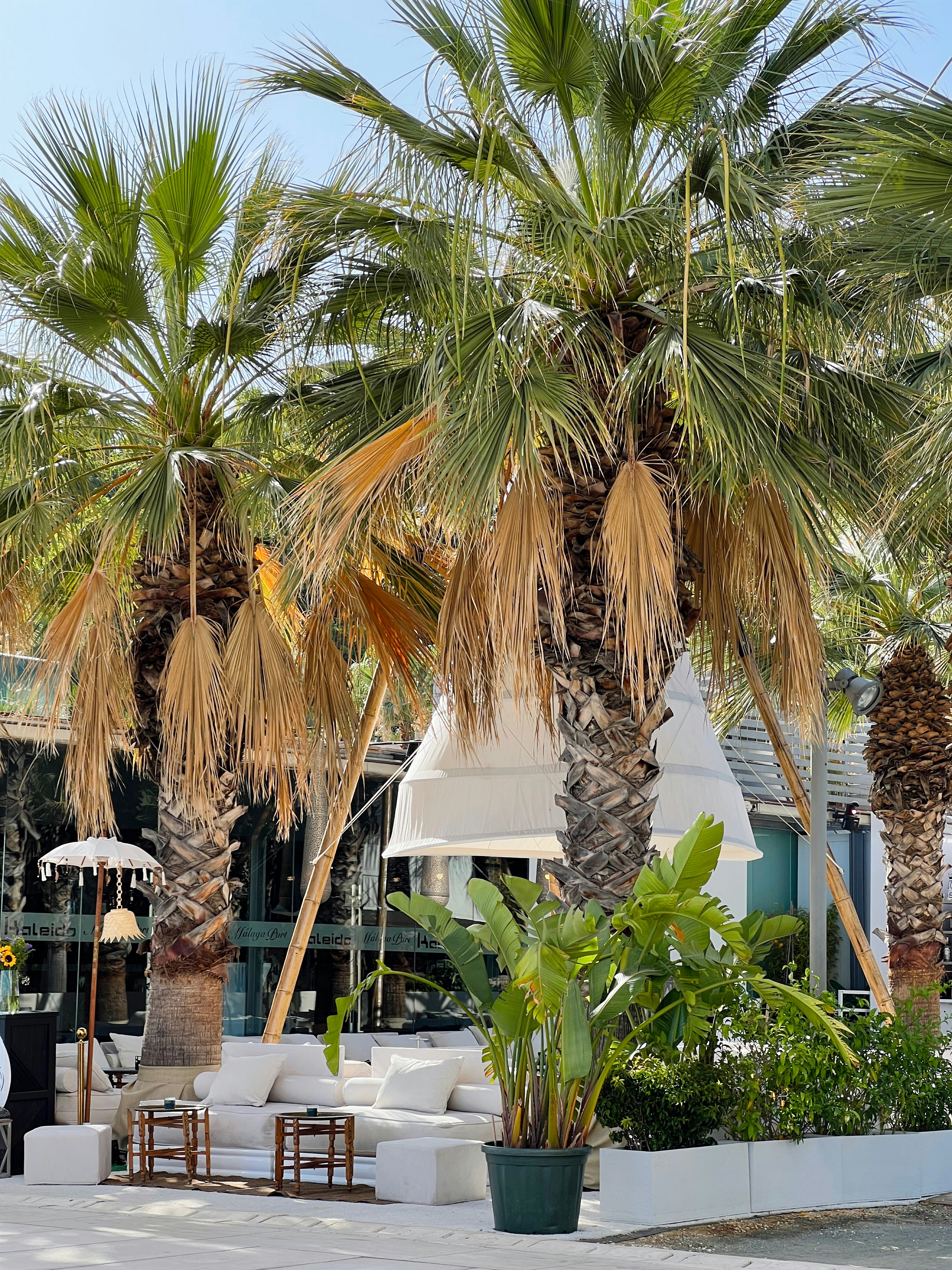 T.R Photography 📸 (@_redo_) | Comunidad de fotos de Unsplash