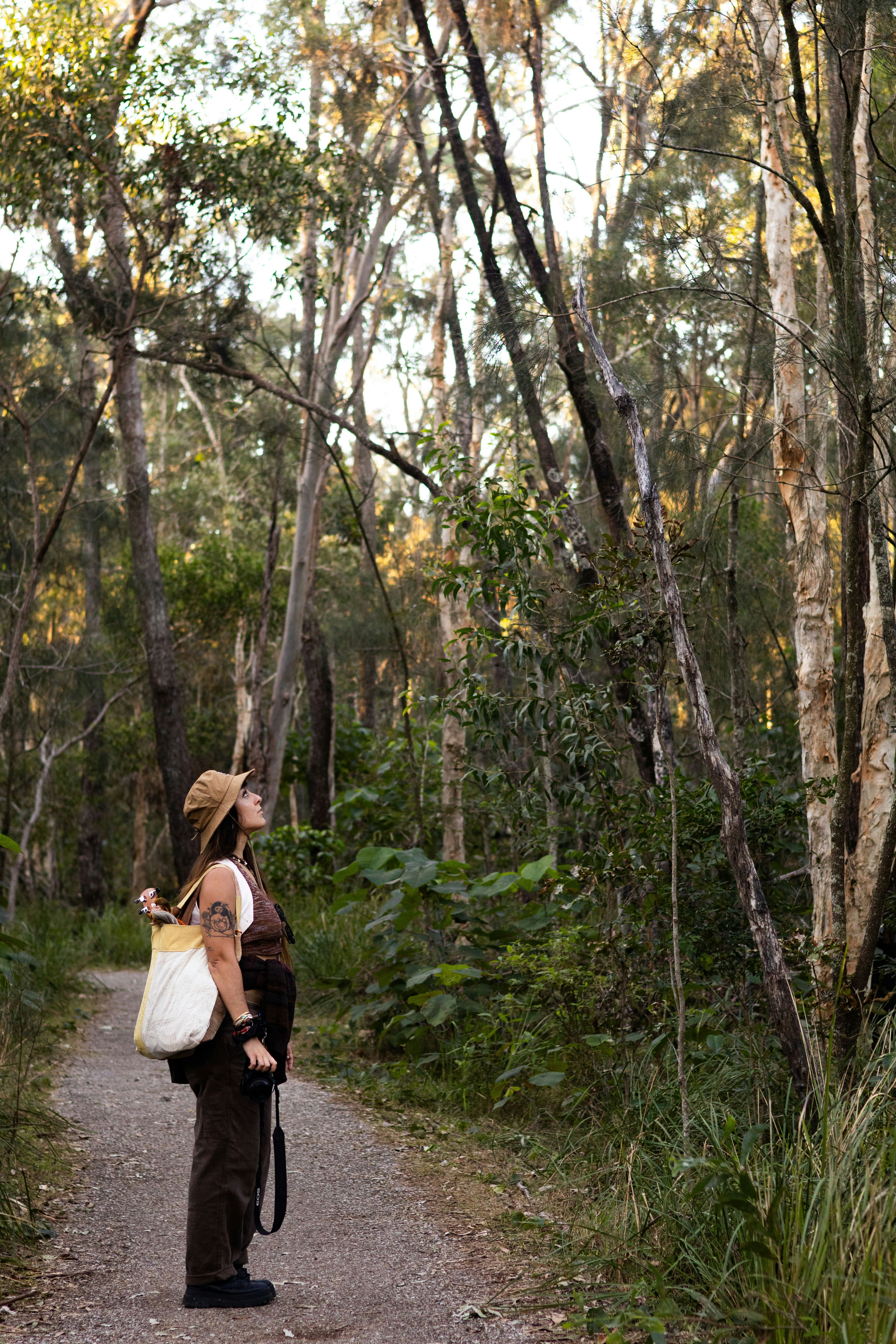 Trailbound: A Wanderer Pauses to Listen to the Forest