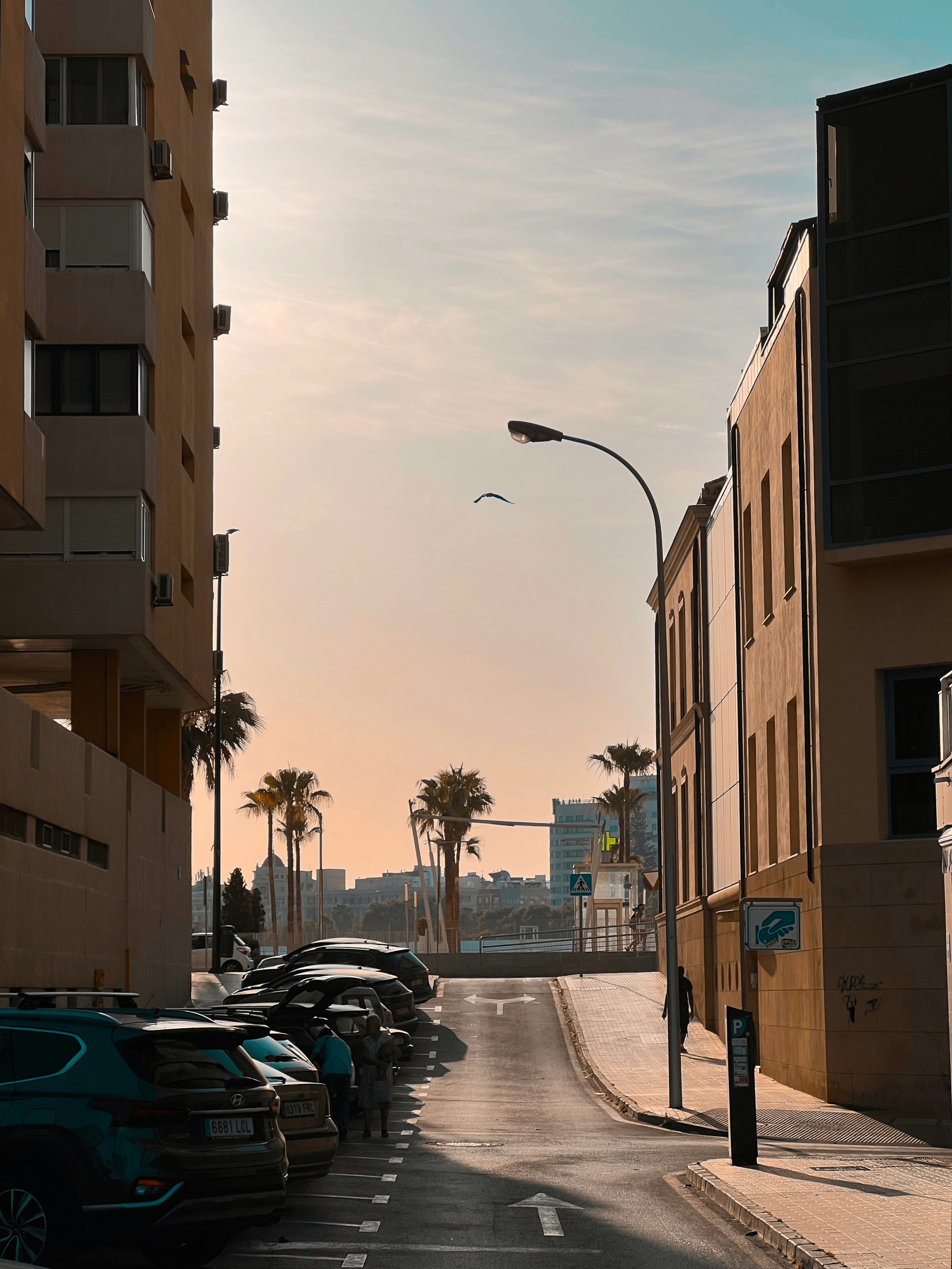 T.R Photography 📸 (@_redo_) | Comunidad de fotos de Unsplash