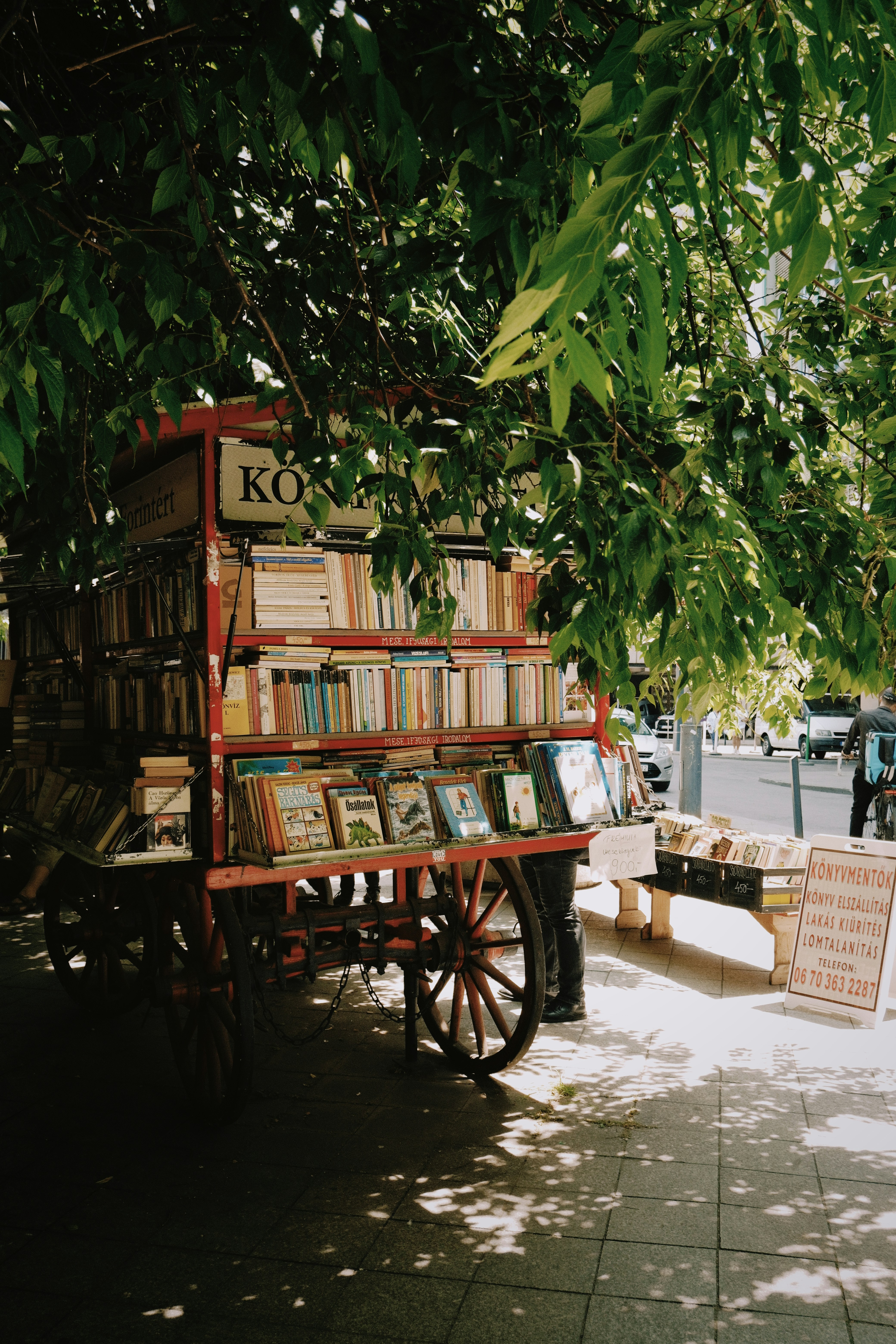 A vibrant book cart filled with colorful books, nestled under lush green foliage on a bustling street.
