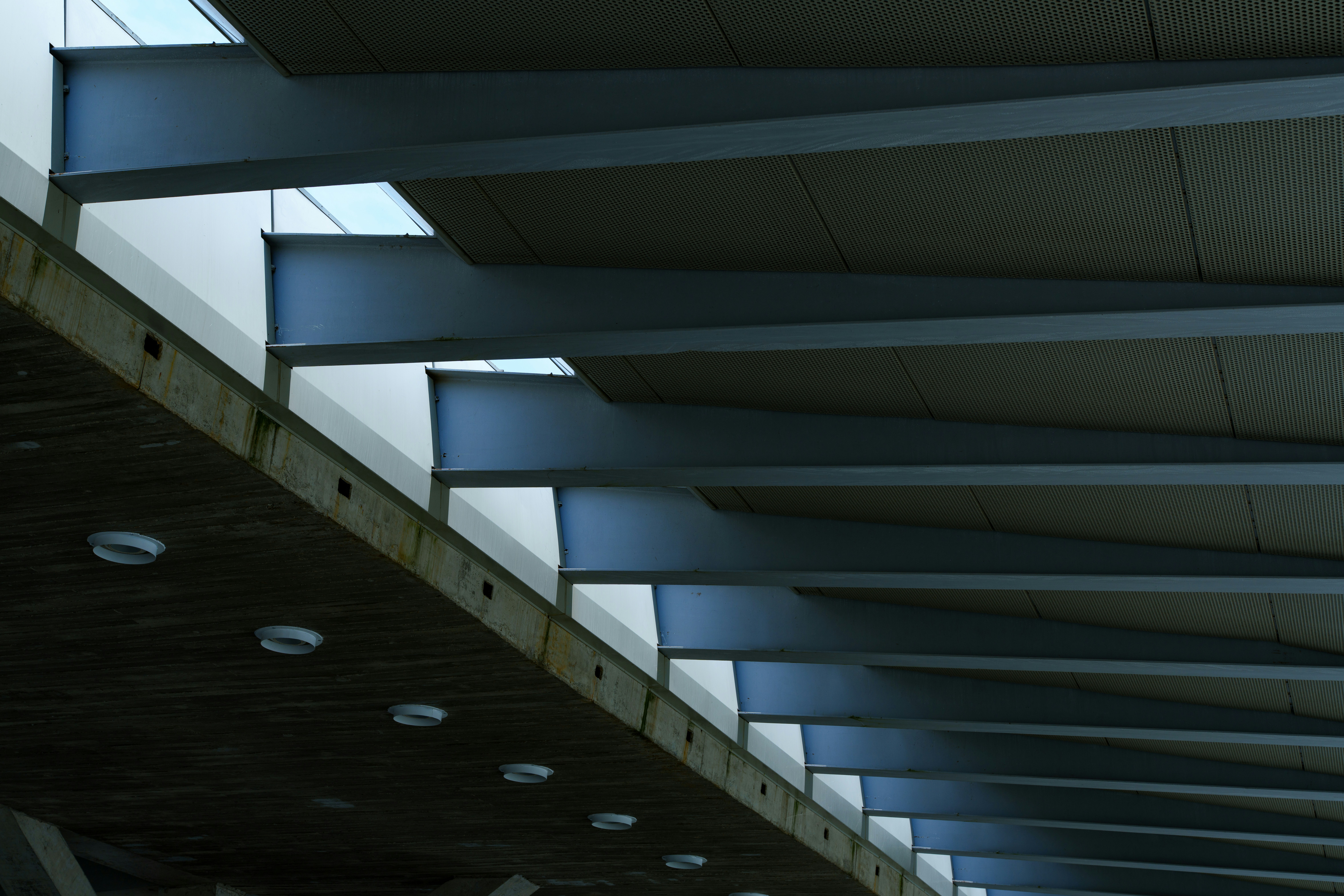 Photo by Declan Sun with Sony Alpha 7R V