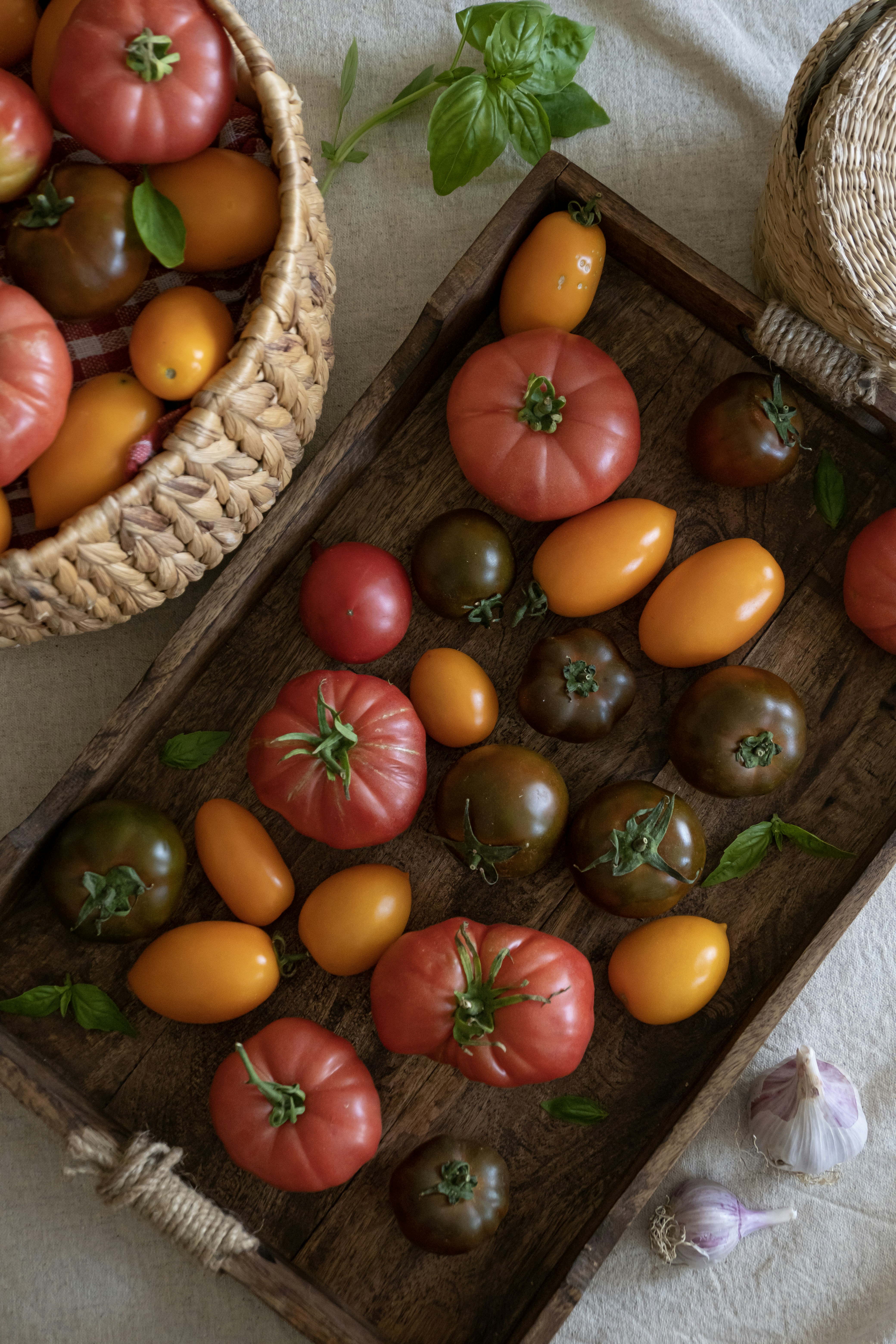 A wooden tray filled with a variety of tomatoes in different shapes and colors, surrounded by fresh basil leaves and garlic, showcasing the bounty of a summer harvest.