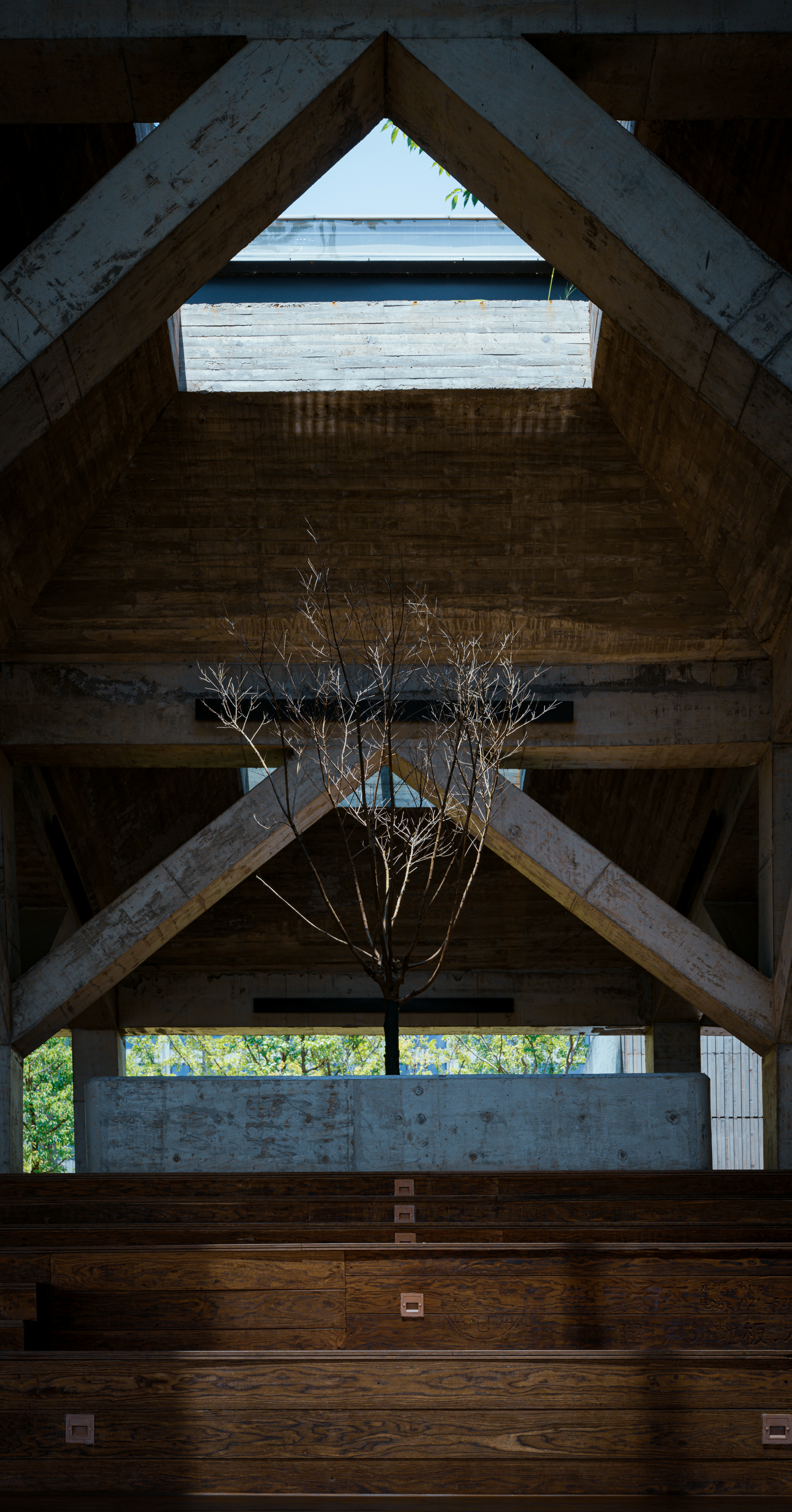 Rooted Between Triangles: A Leafless Tree in Concrete Cathedral