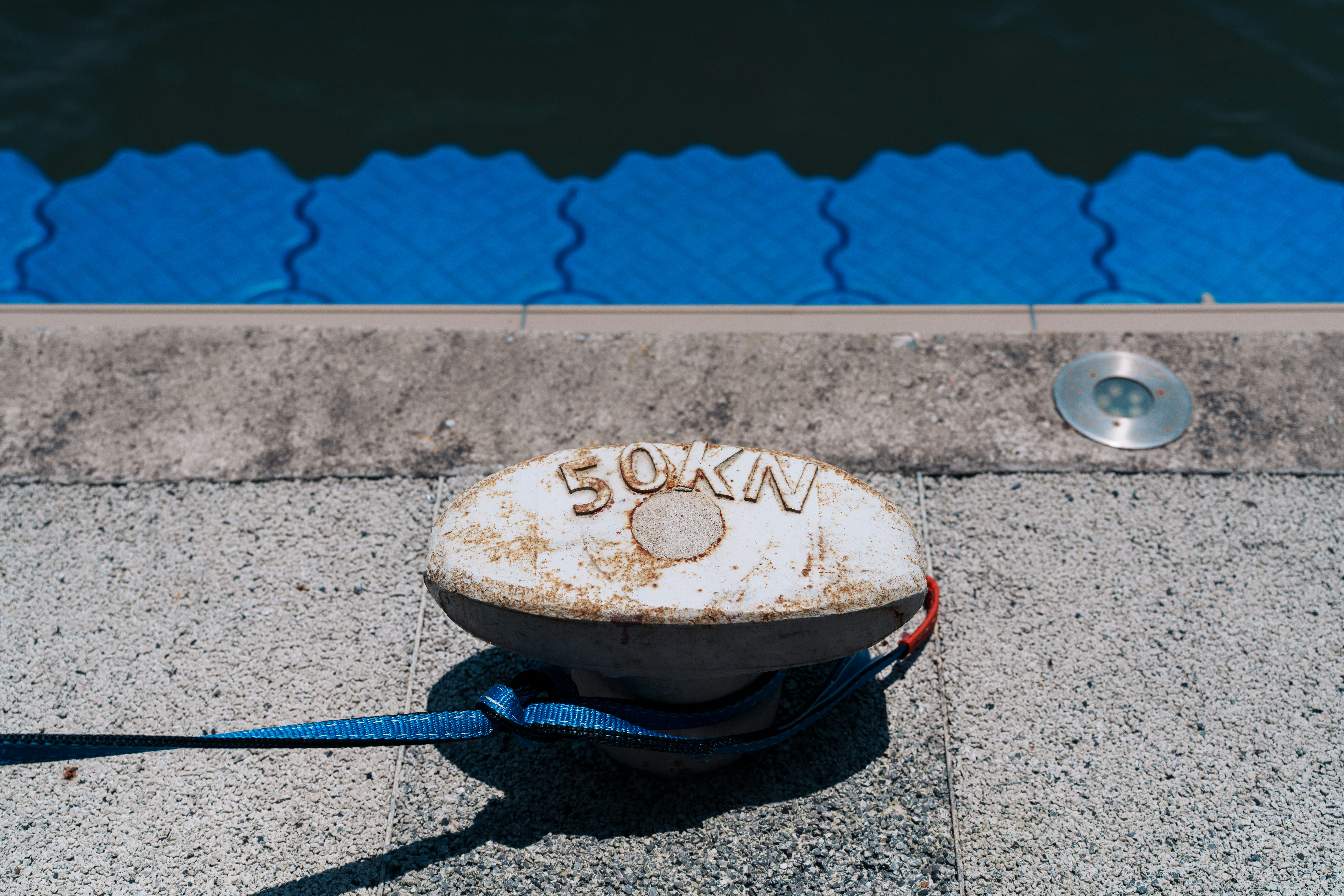 Photo by Declan Sun with Sony Alpha 7R V