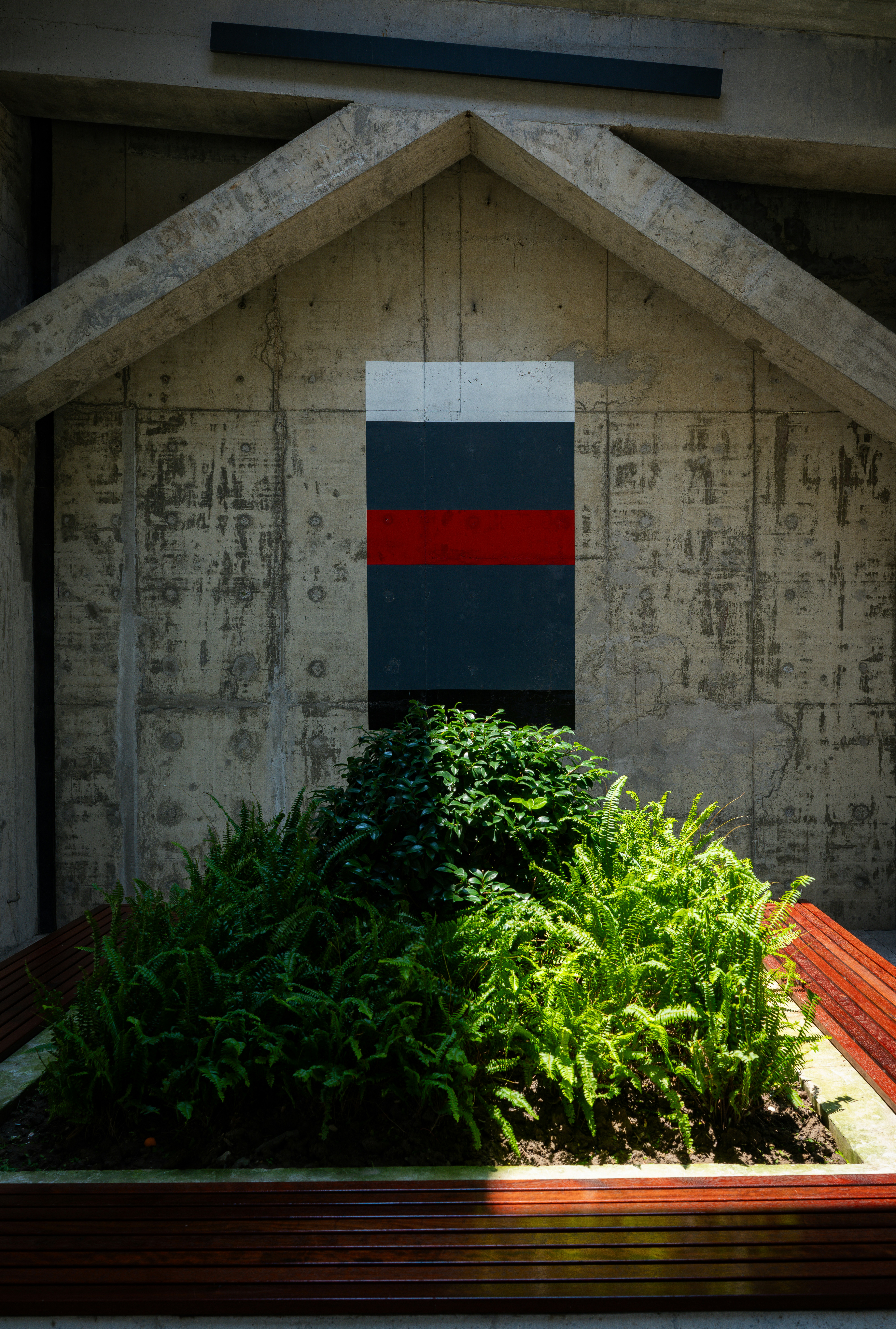 Lush greenery contrasts with a minimalist concrete wall adorned with geometric color blocks. The scene exemplifies the blend of natural and architectural elements.
