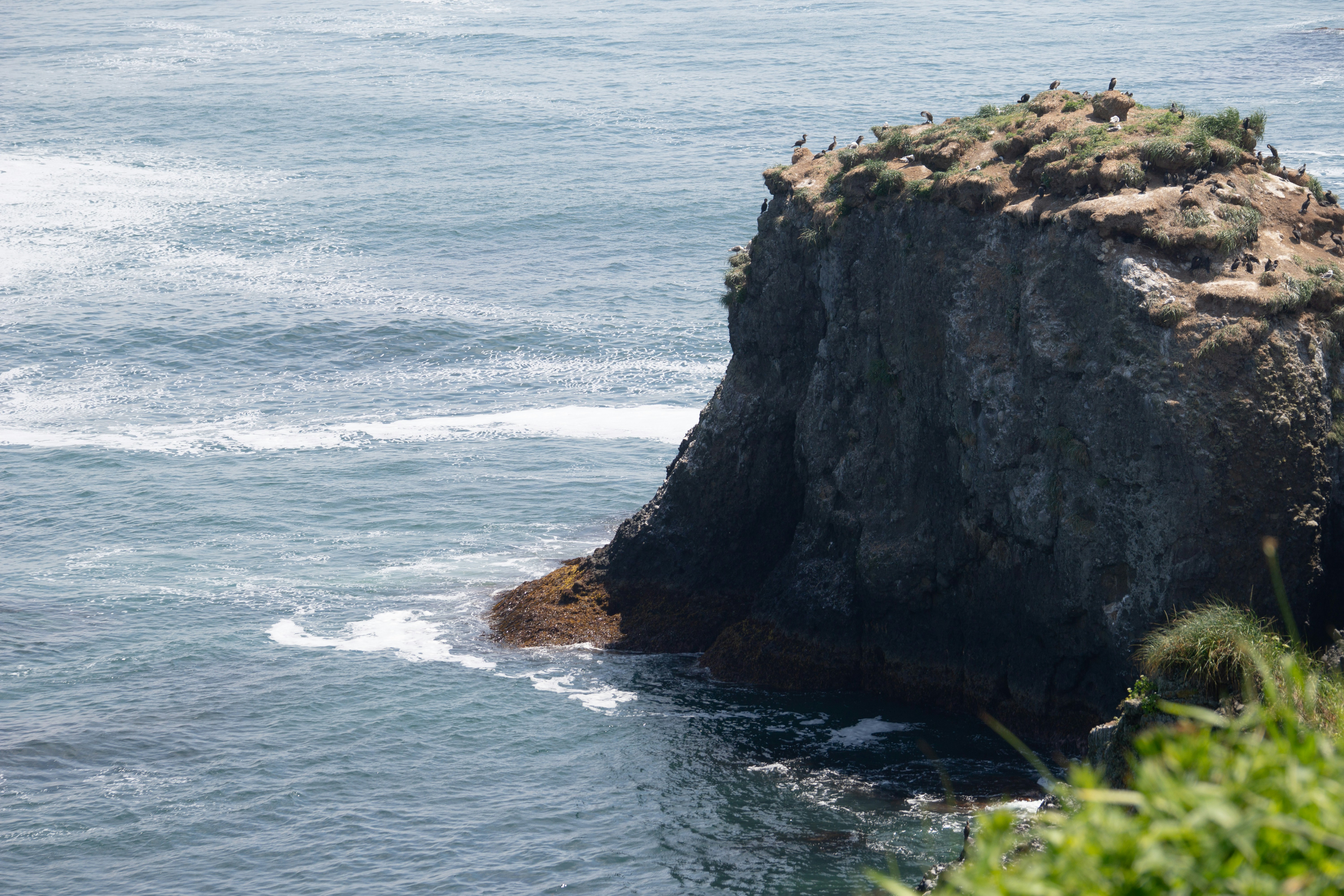 A rocky coastline juts out into the ocean. photo – Free Animal Image on ...