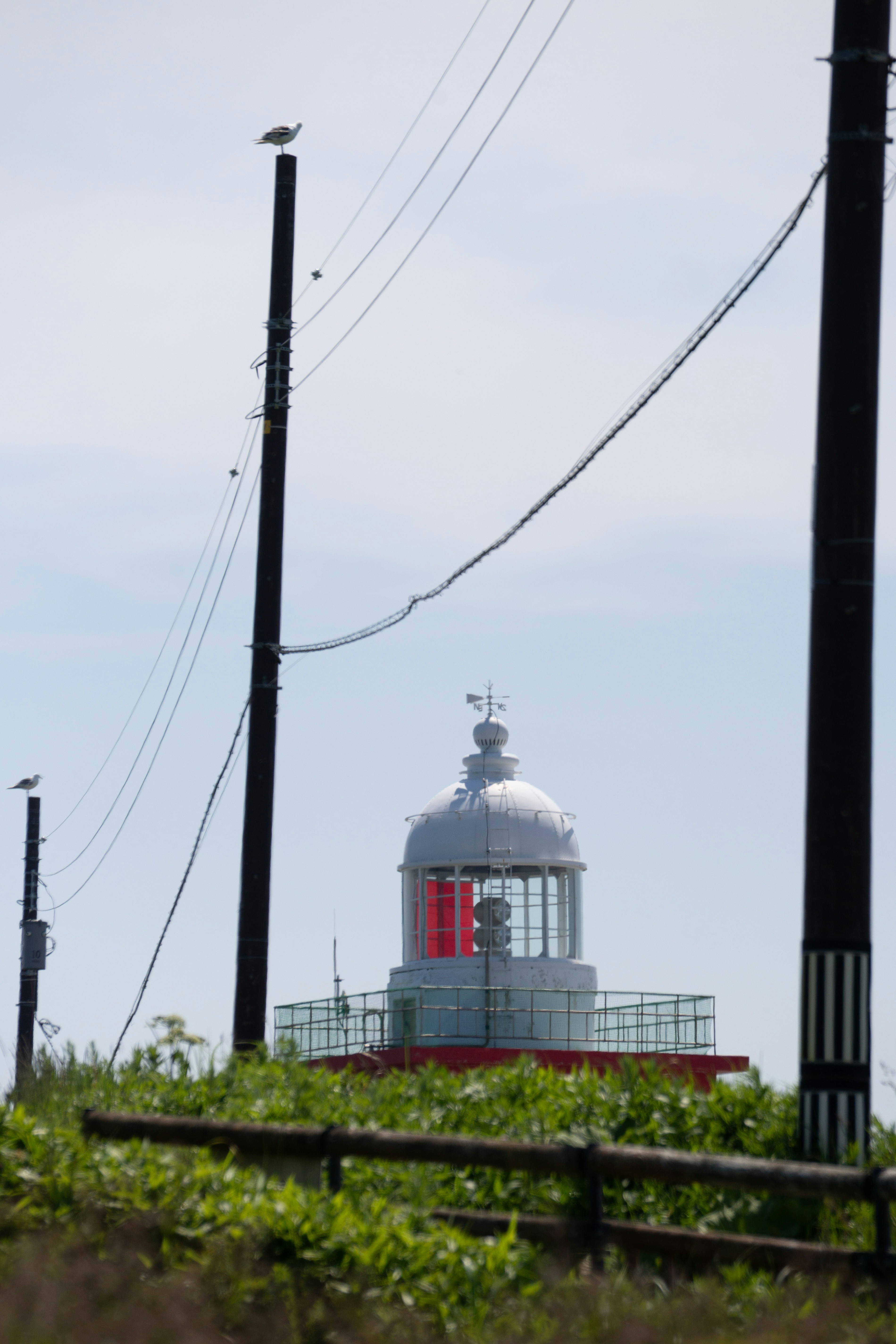 A lighthouse sits behind power poles.