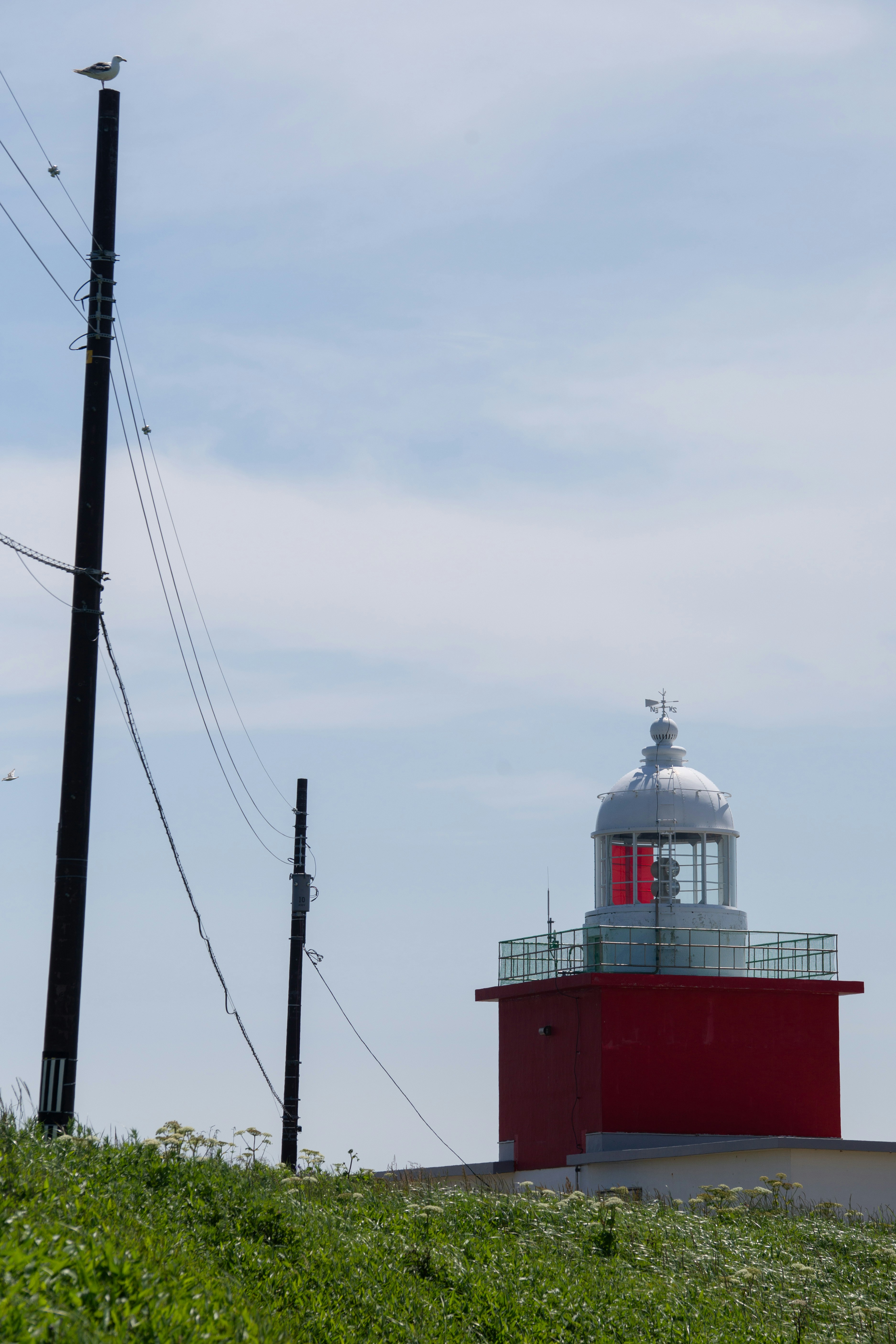 A vibrant red lighthouse stands against a clear sky, framed by power lines and lush greenery, symbolizing maritime safety in a contemporary setting.