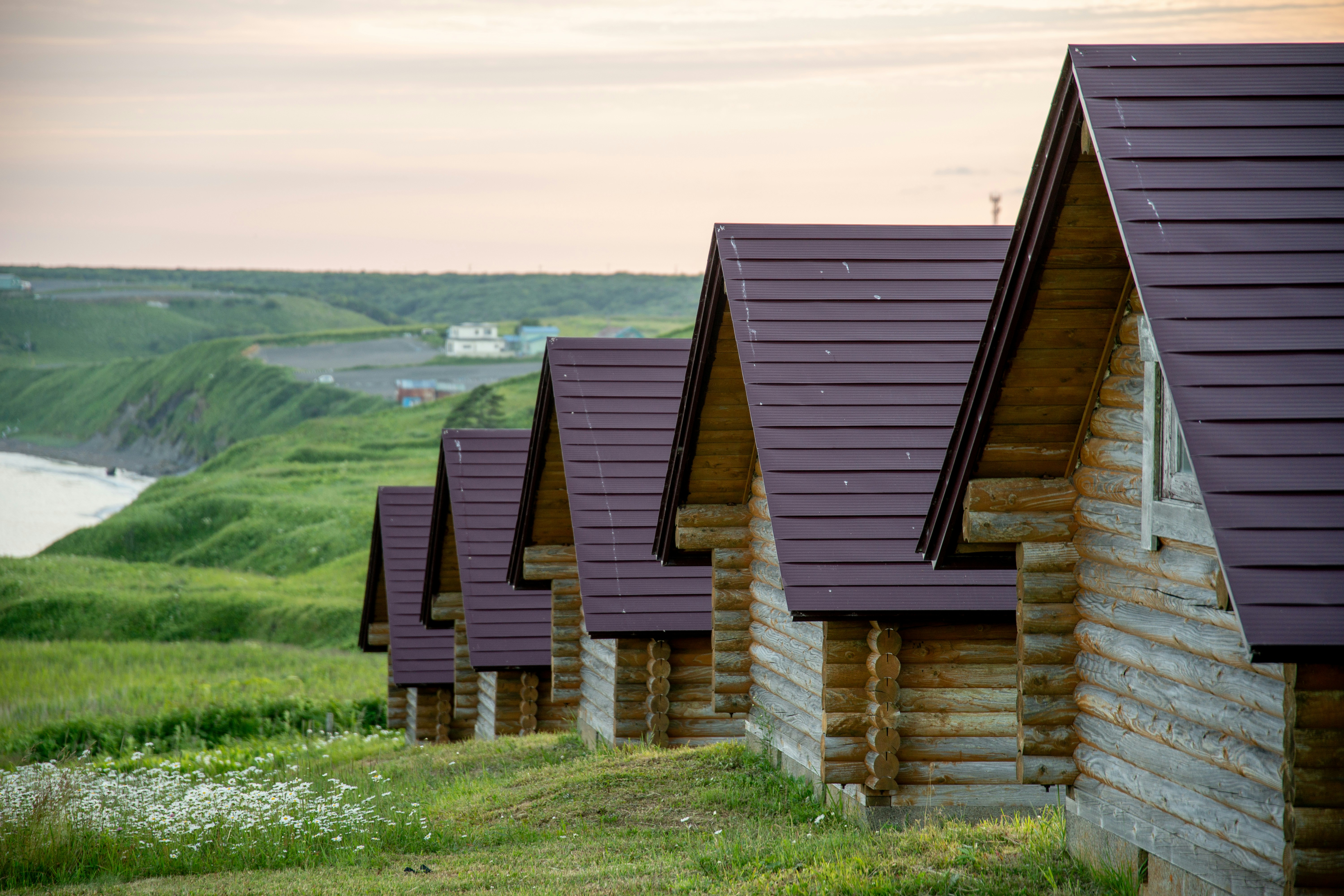 Photo by Da-shika with Sony Alpha A99