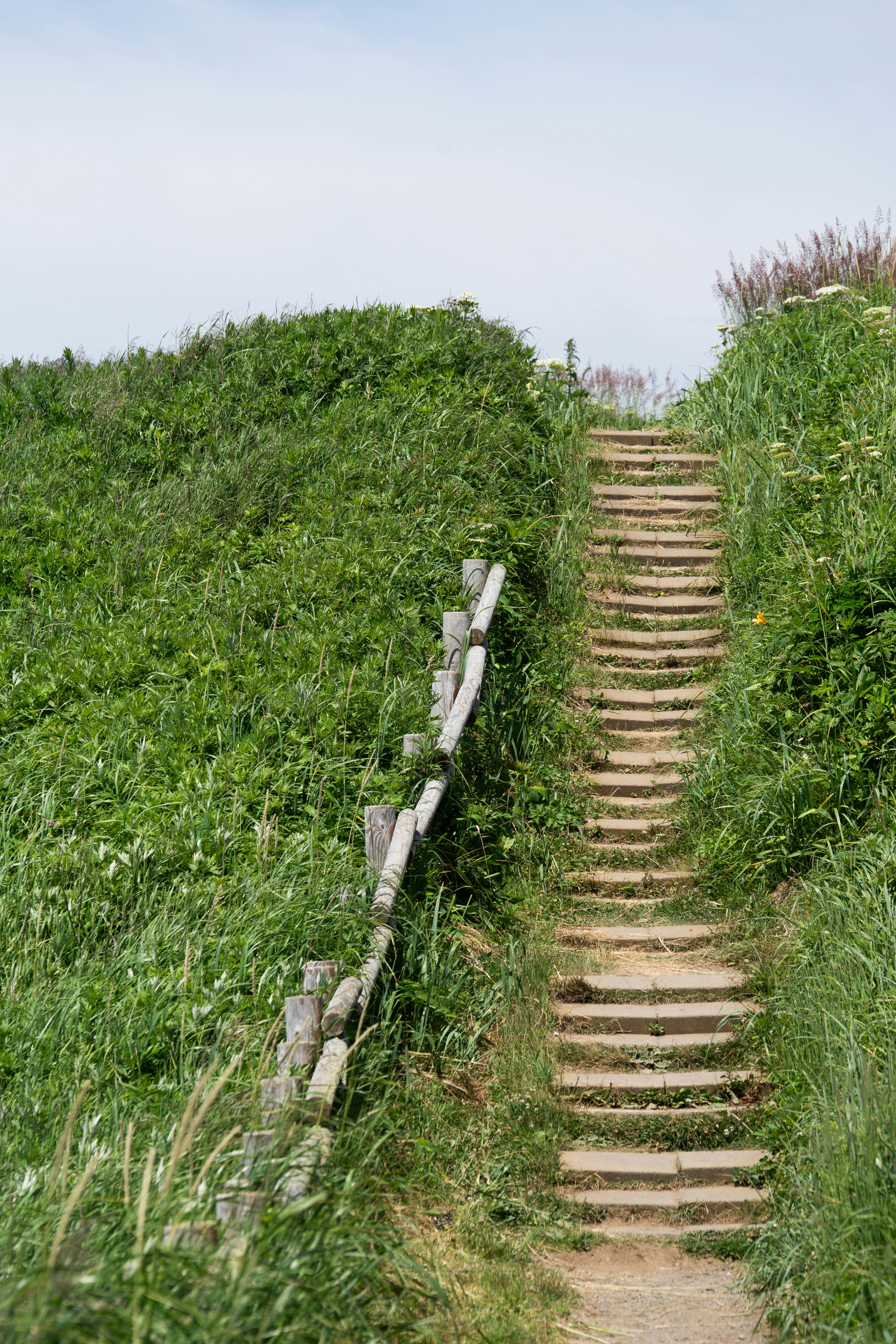 Pathway to Serenity: The Journey Begins