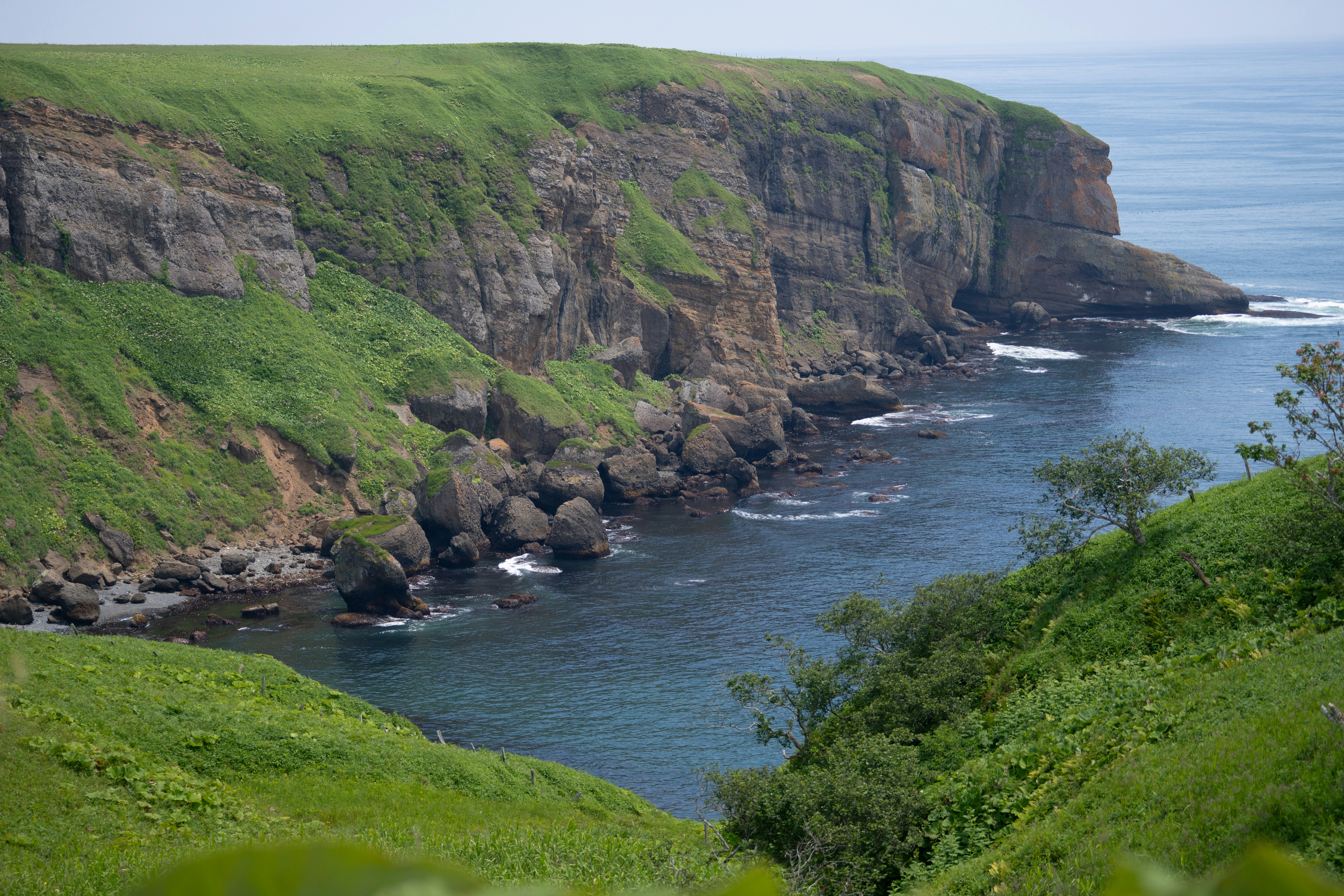 Lush green cliffs cascade into a tranquil sea, with rocky formations emerging from the water's edge. The serene landscape showcases the harmony between land and ocean.