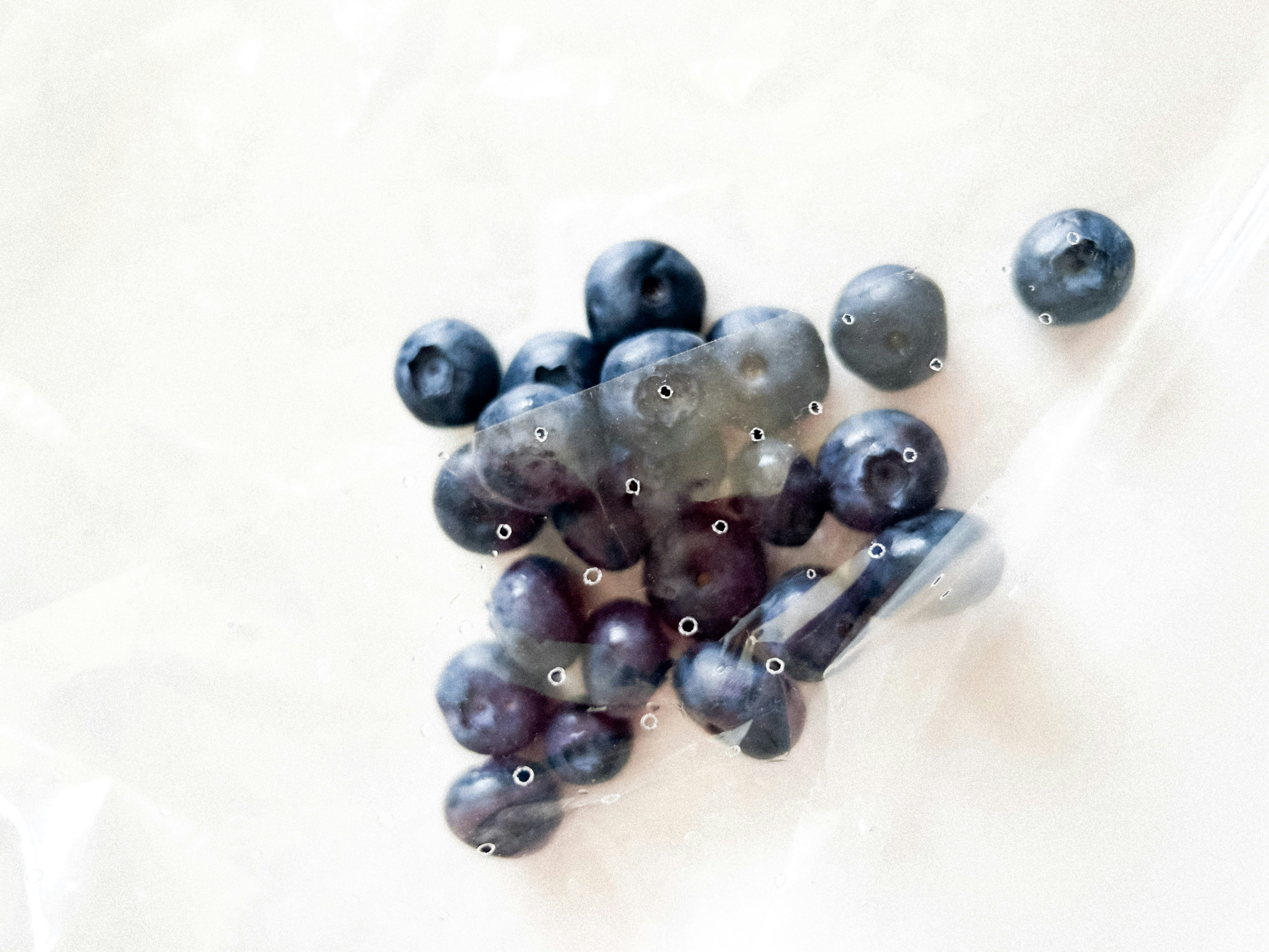 Nature's Tiny Gems: A Study in Blue