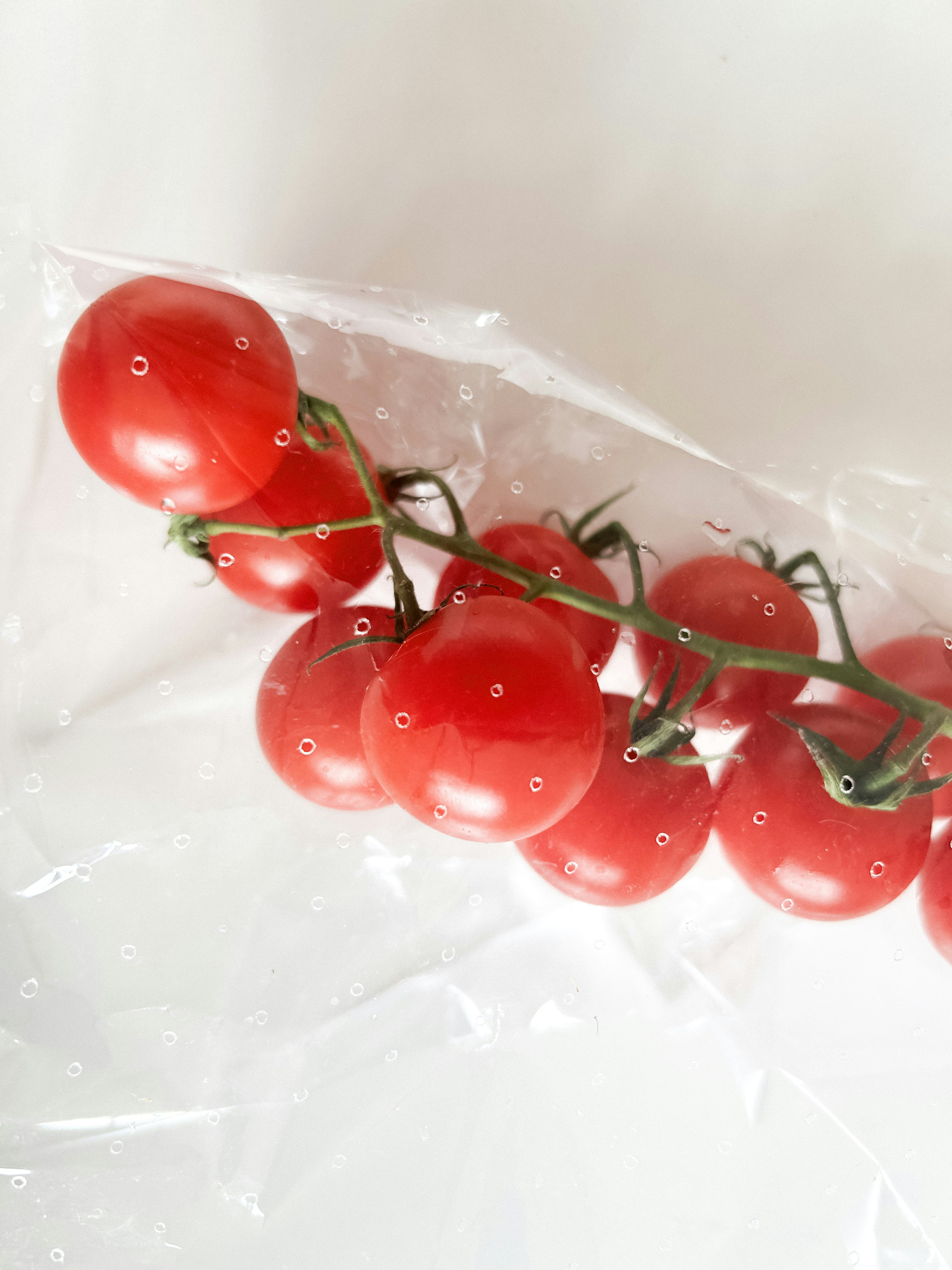 Freshness Encased: A Tomato's Journey