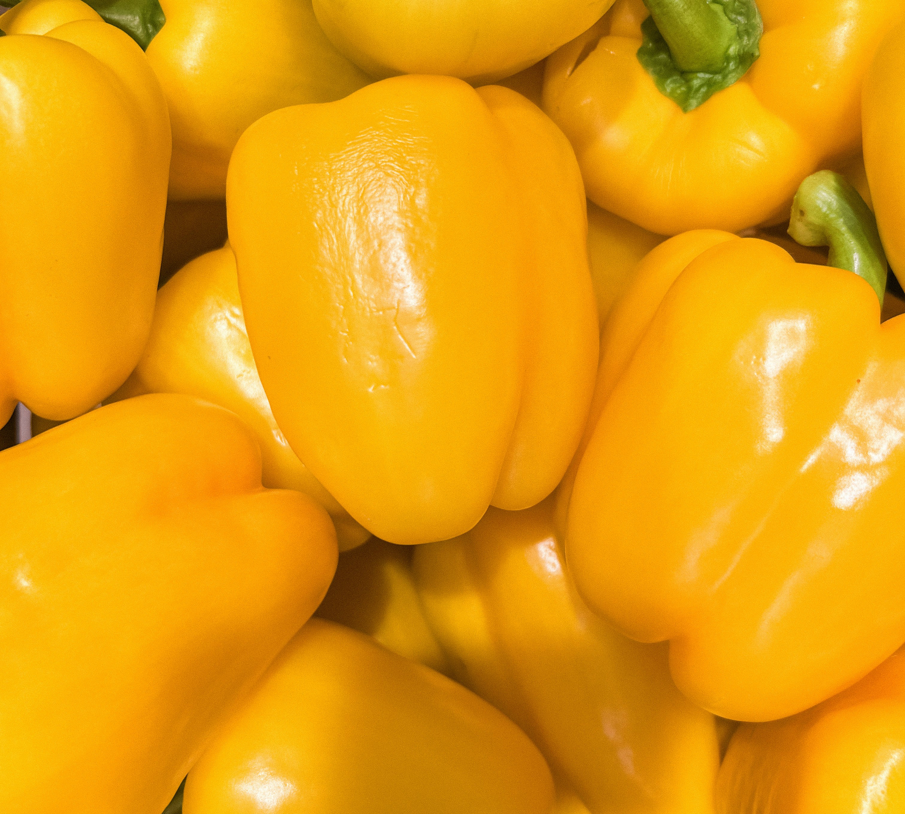 Yellow bell peppers ready to be used.