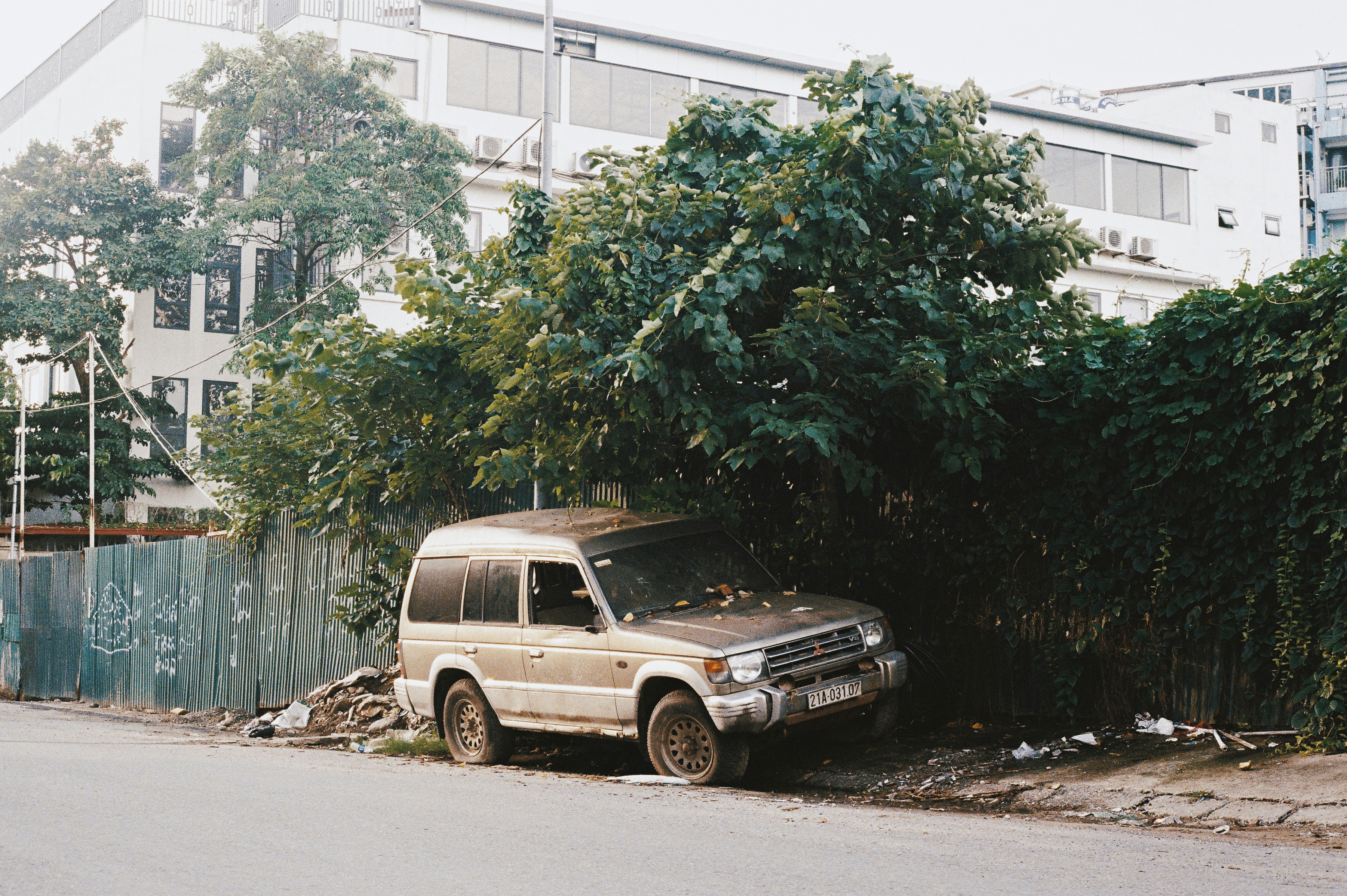 Urban Resilience: Nature's Embrace on Forgotten Wheels